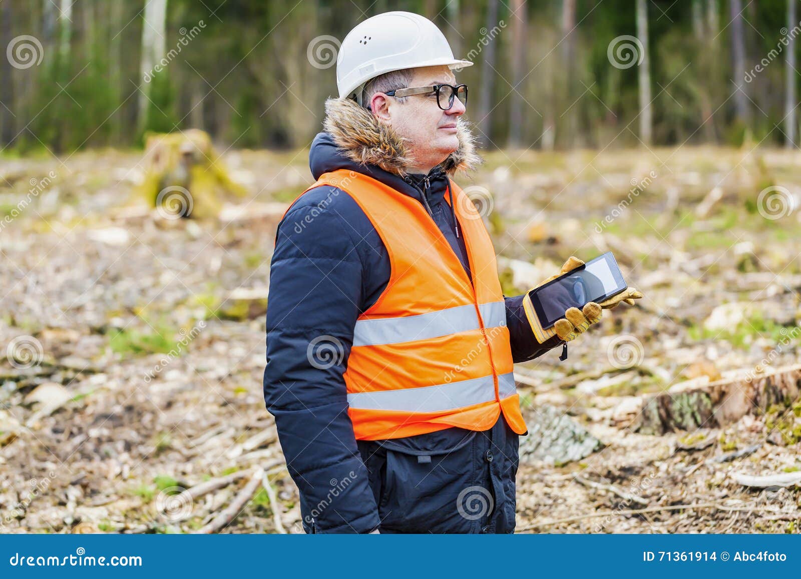Forest Inspector Using Tablet PC in Clearcutting Forest Stock Photo ...