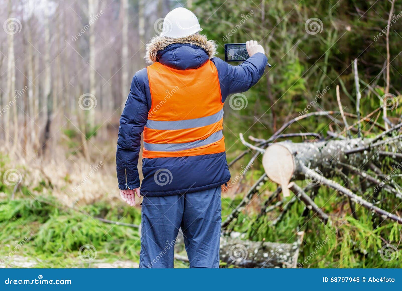 Forest Inspector Using Tablet PC Near Tree in Forest Stock Photo ...