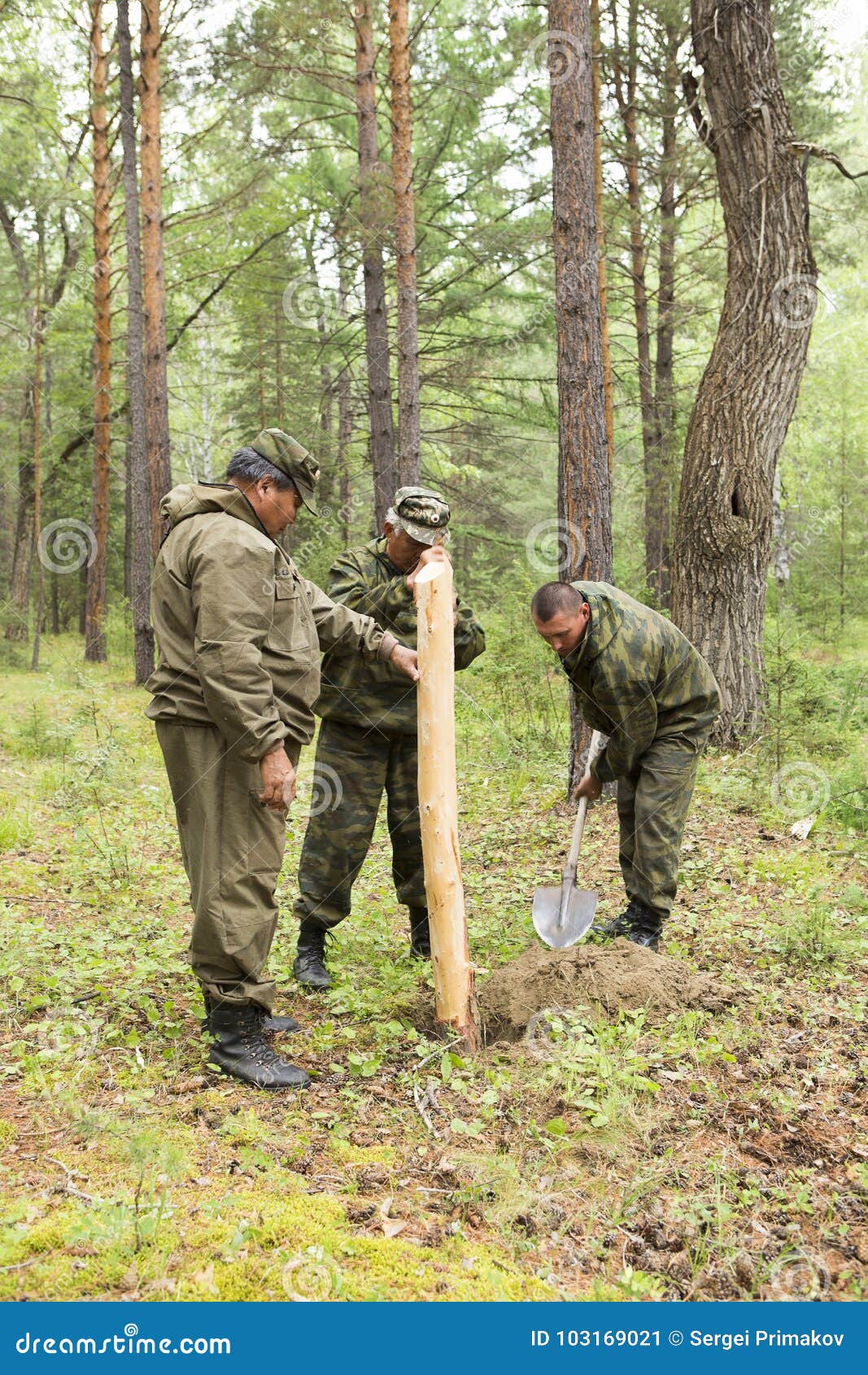 Forest Inspectors Work in the Forest. Stock Image - Image of forestry ...