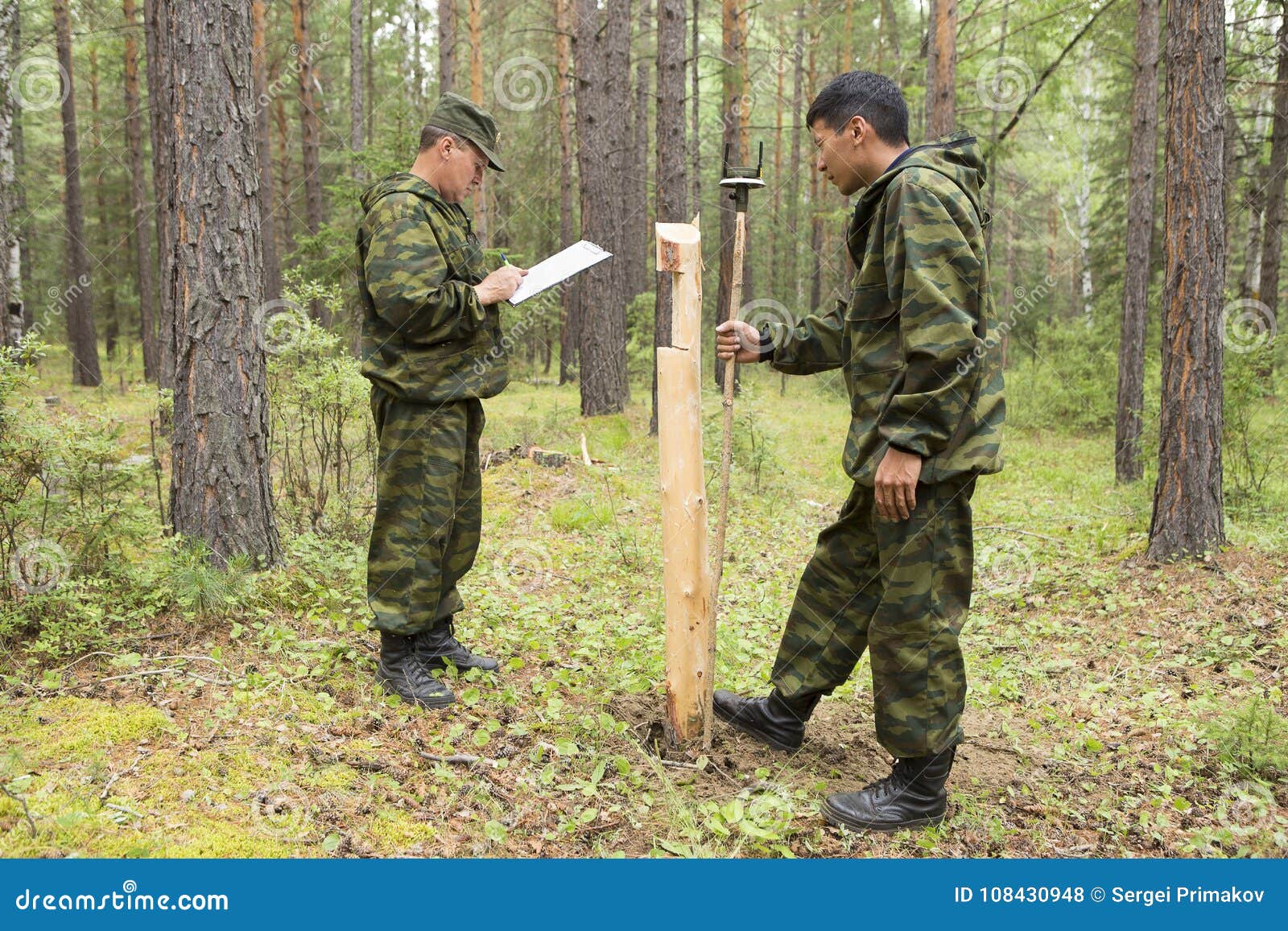 Forest Inspectors Work in the Forest. Stock Photo - Image of direction ...