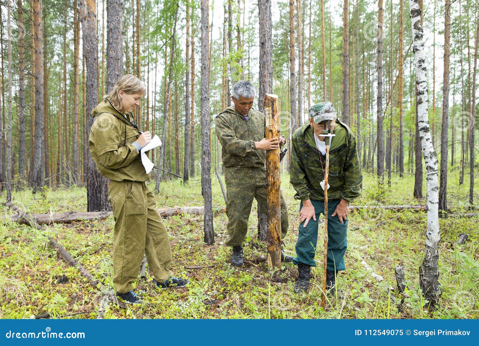 Forest Inspectors Work in the Forest. Stock Image - Image of path ...