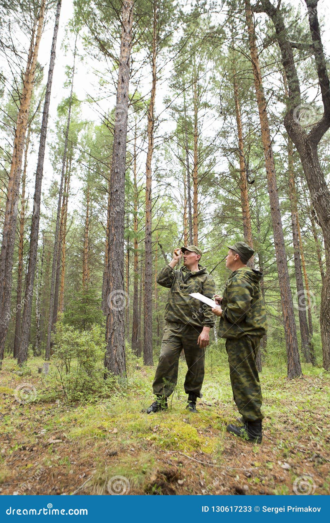 Forest Inspectors Work in the Forest. Stock Image - Image of arrow ...
