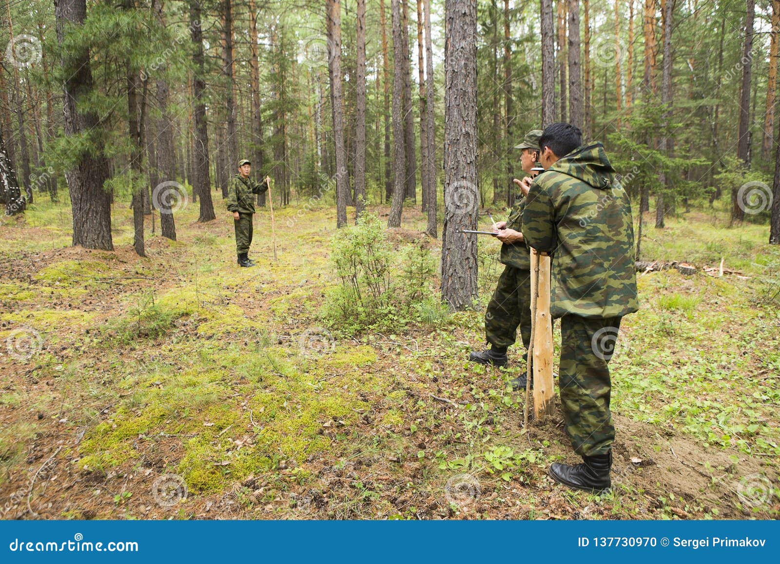Forest Inspectors Work in the Forest Stock Photo - Image of cutting ...