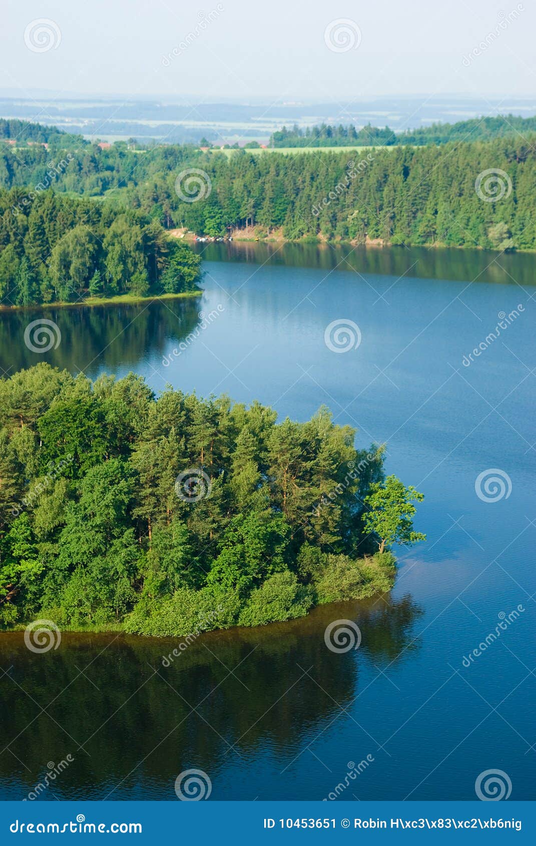 Forest island on lake stock image. Image of landscape - 10453651