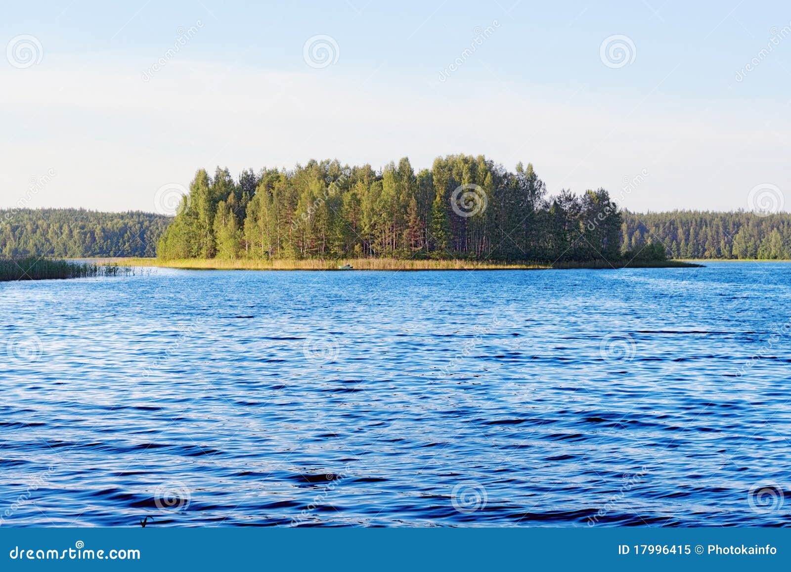 The forest island on lake stock image. Image of rock - 17996415