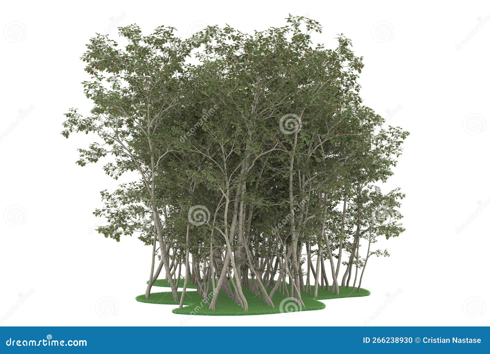 Forest Isolated on Background. 3d Rendering - Illustration Stock Photo ...
