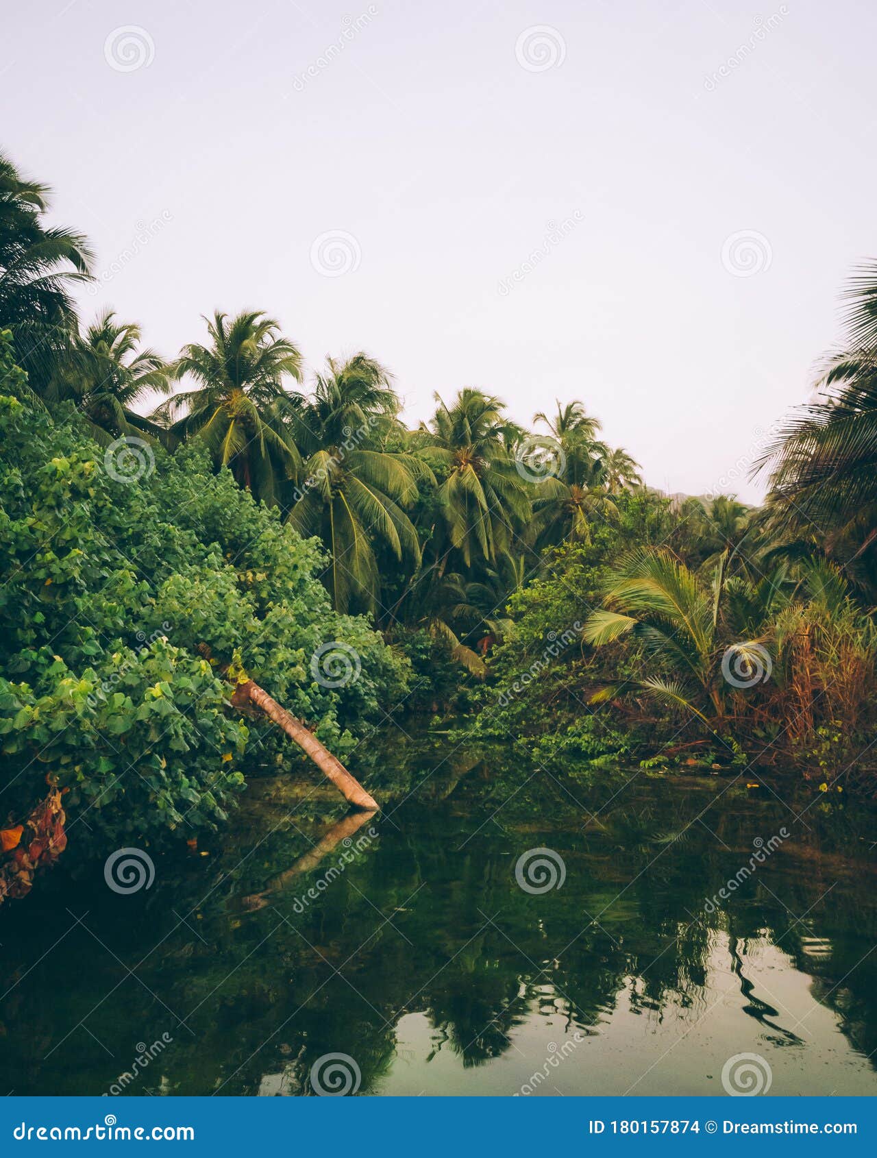 Hidden tropical lake stock photo. Image of environmental - 180157874