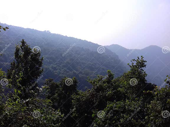 Forest stock image. Image of kapilash, range, jungle - 132226345