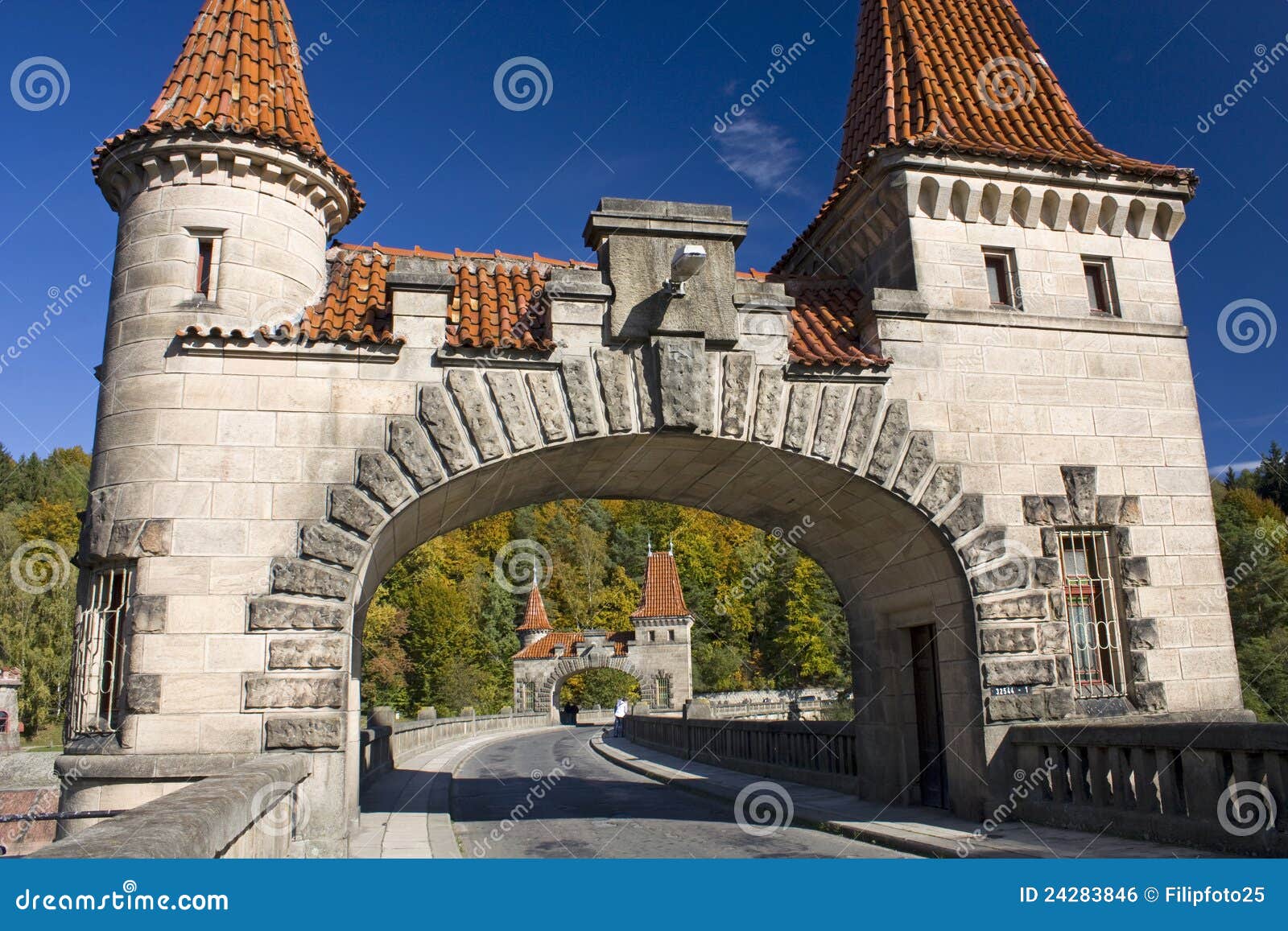 Forest kingdom stock photo. Image of fairy, lake, road - 24283846
