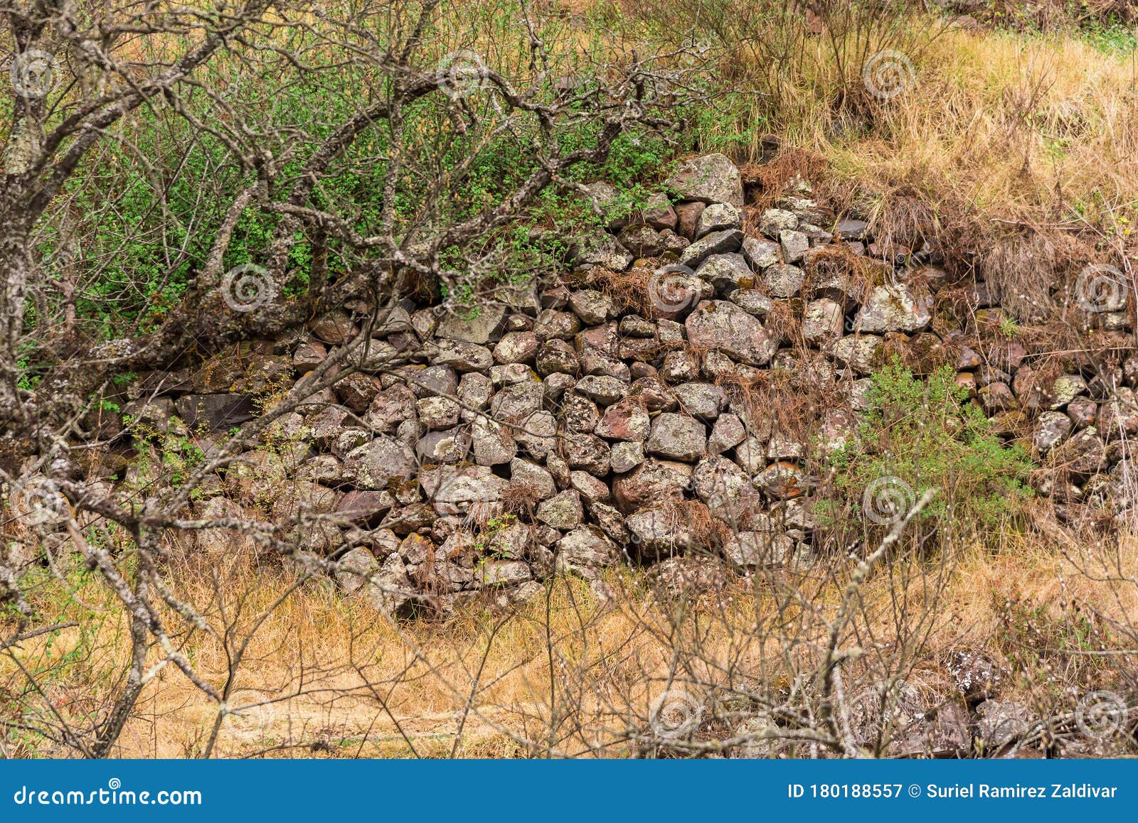 Stone wall in the forest stock image. Image of environment - 180188557