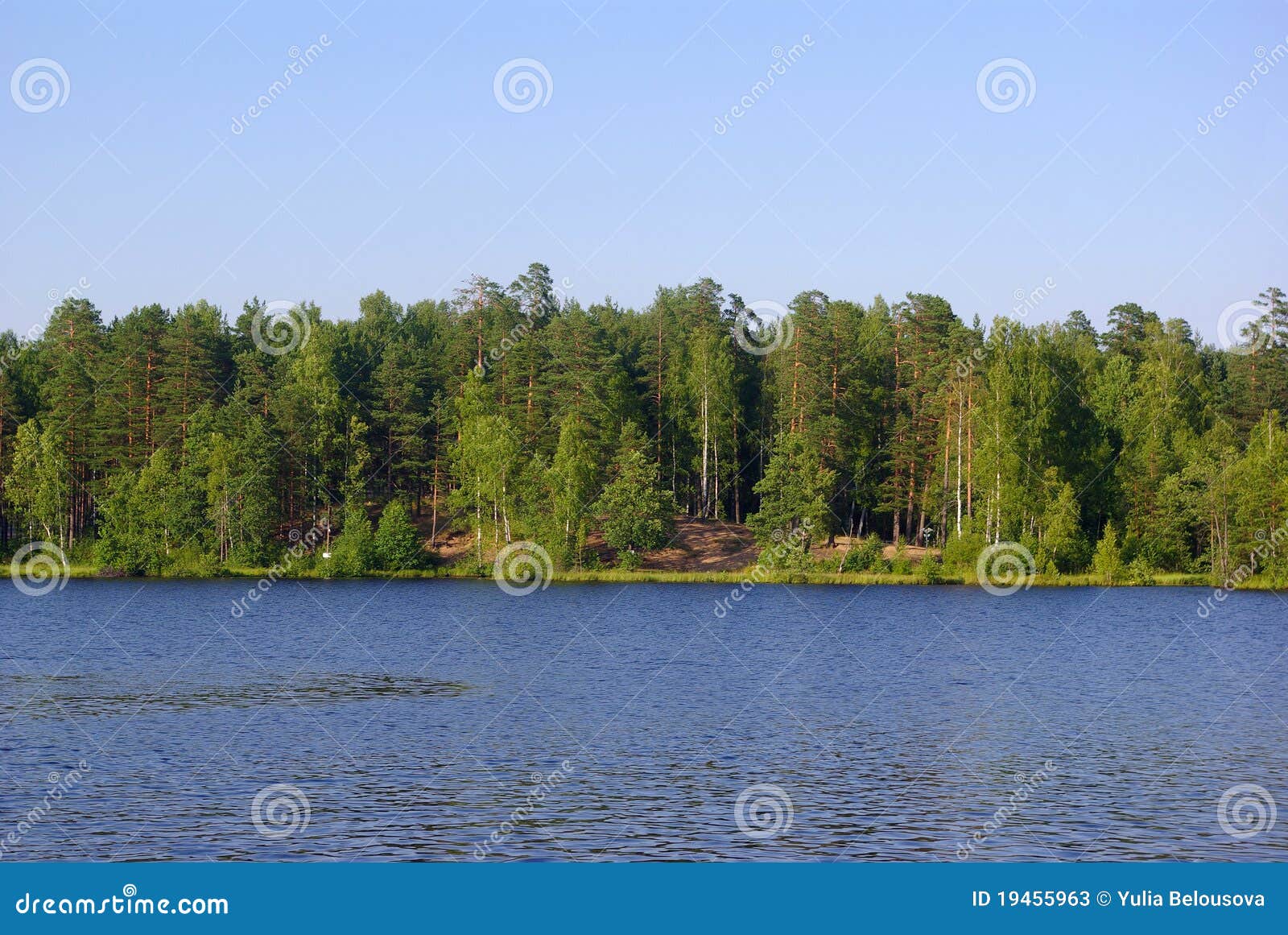 Forest lake stock image. Image of ripples, traveling - 19455963
