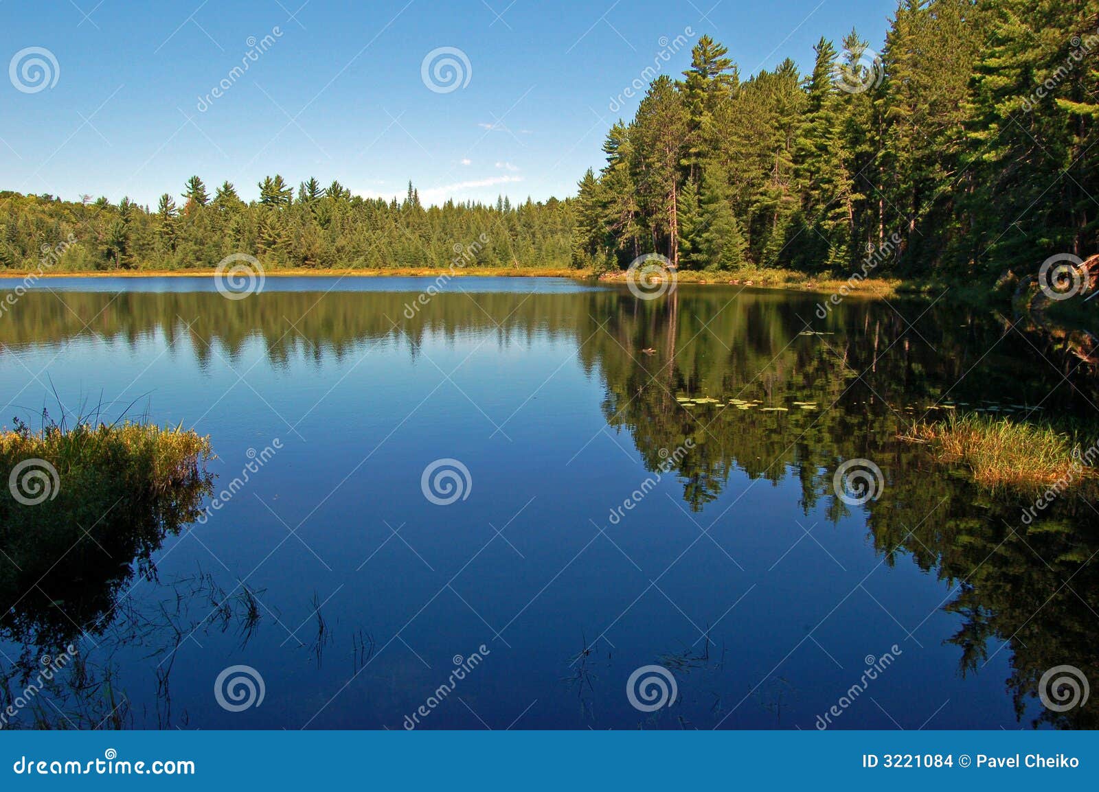 Forest lake stock photo. Image of preserve, camping, pine - 3221084