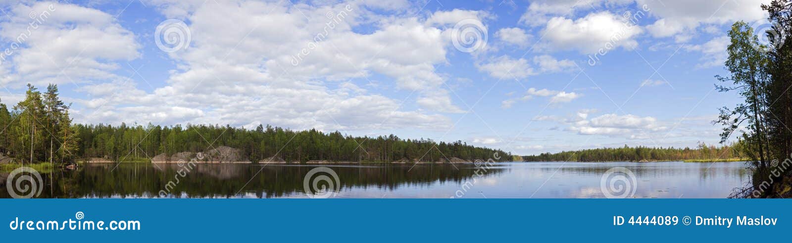 Forest lake stock image. Image of scene, hill, forest - 4444089