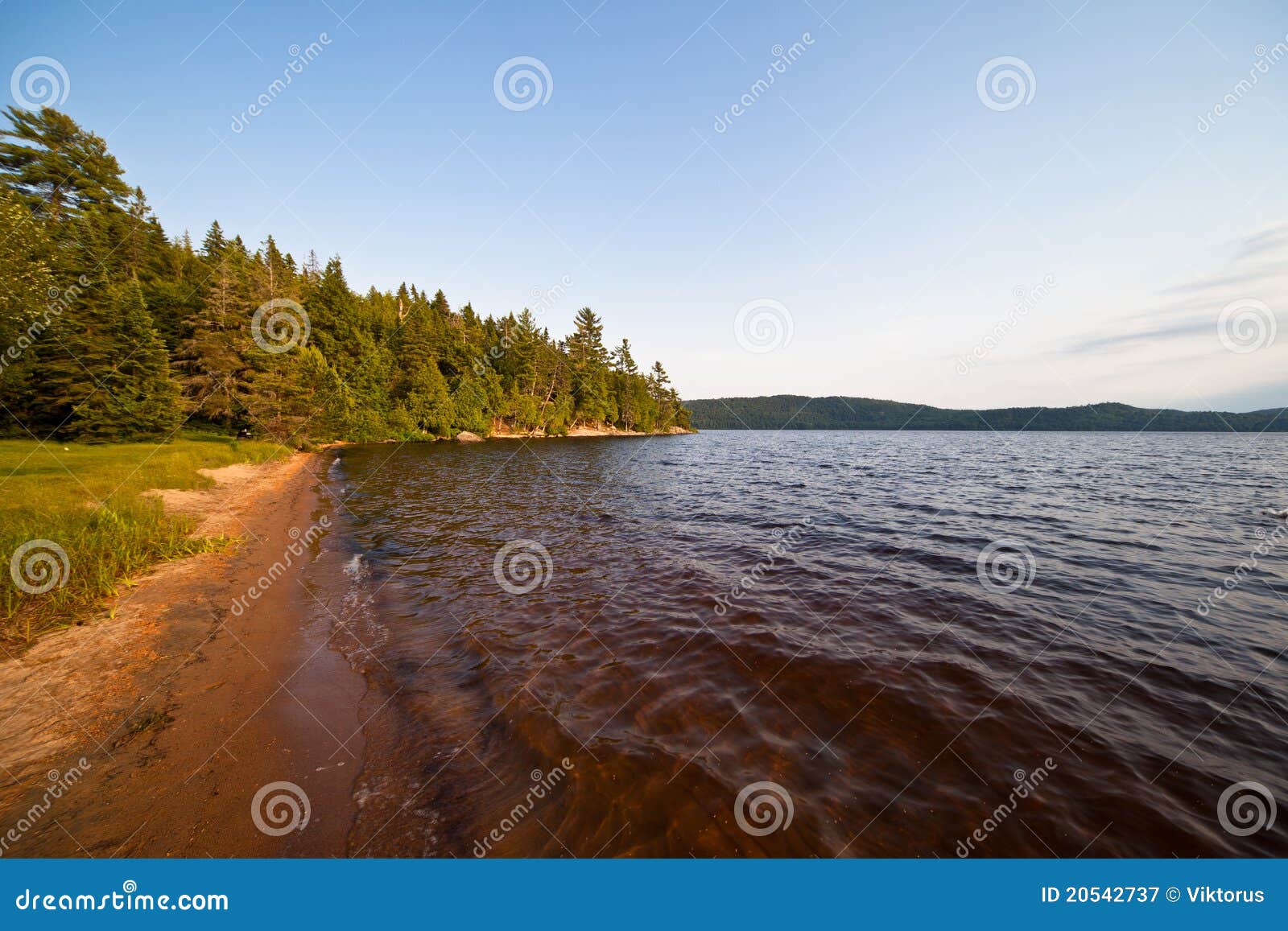 Forest lake coast stock image. Image of algonquin, wave - 20542737