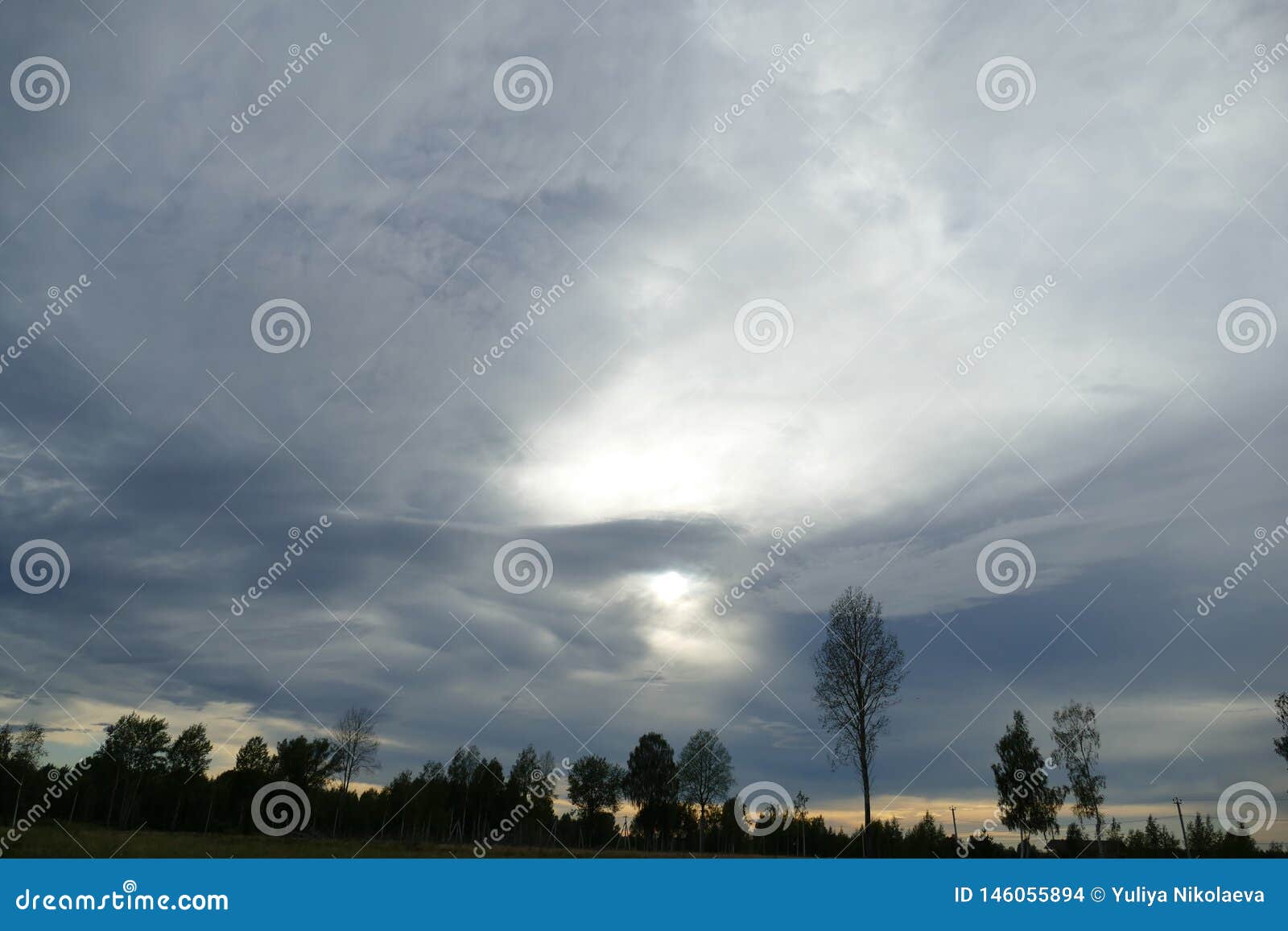 Forest Lake Evening Sky Reed Natural Composition Stock Photo - Image of ...