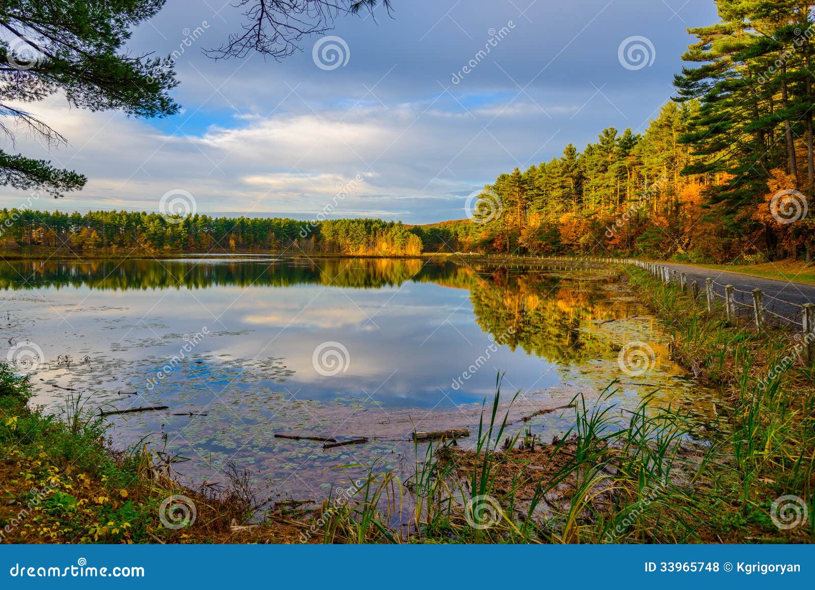 Forest Lake in Fall stock photo. Image of beauty, outdoors - 33965748
