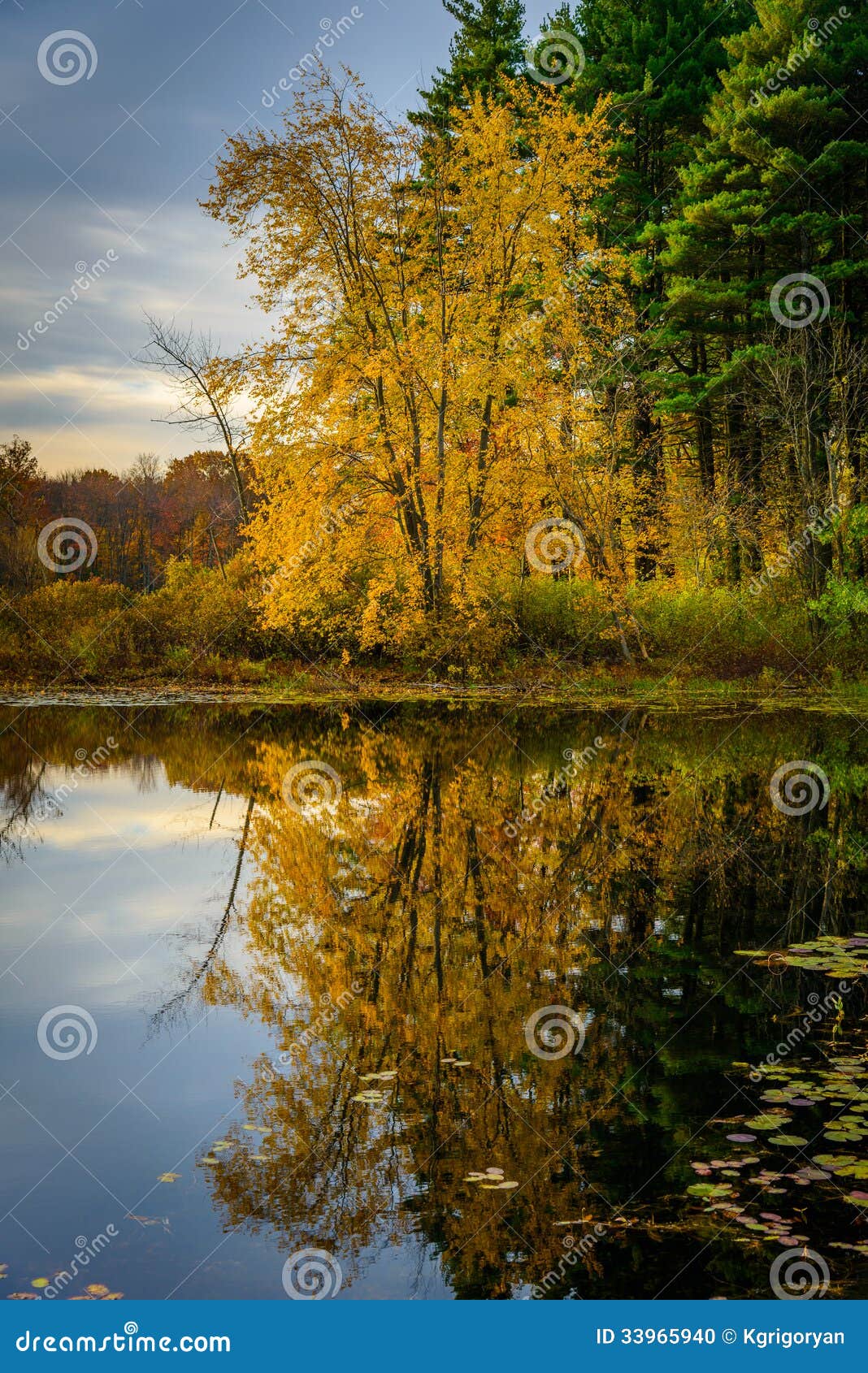 Forest Lake in Fall stock photo. Image of clouds, beauty - 33965940