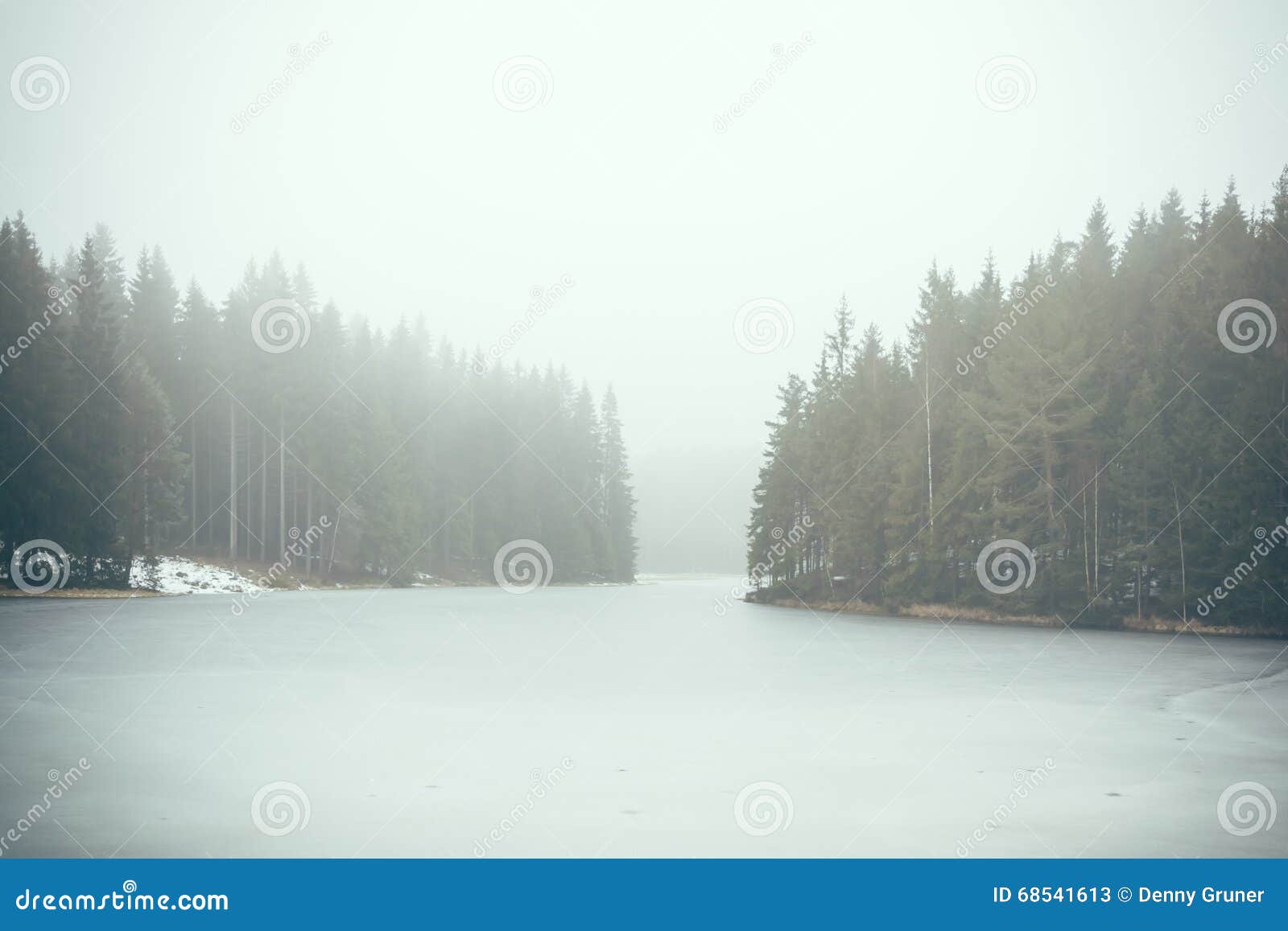 Forest lake in fog stock image. Image of winter, frosty - 68541613