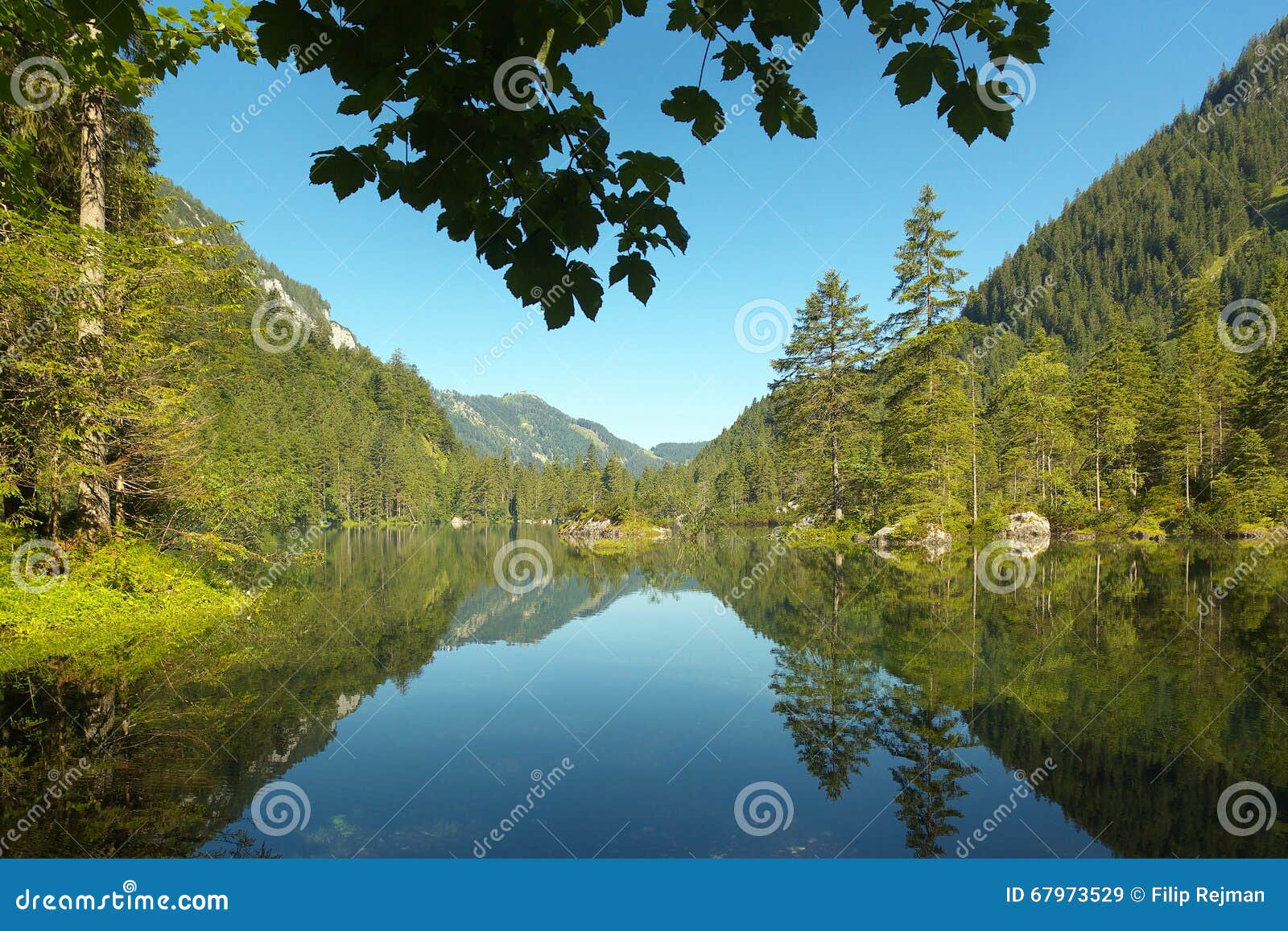 Forest Lake in Gosau Valley, Austria Stock Image - Image of environment ...