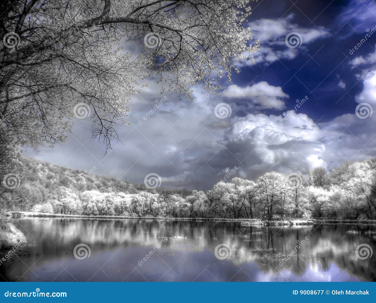 A Forest Lake is in an Infra-red Color Stock Image - Image of effect ...