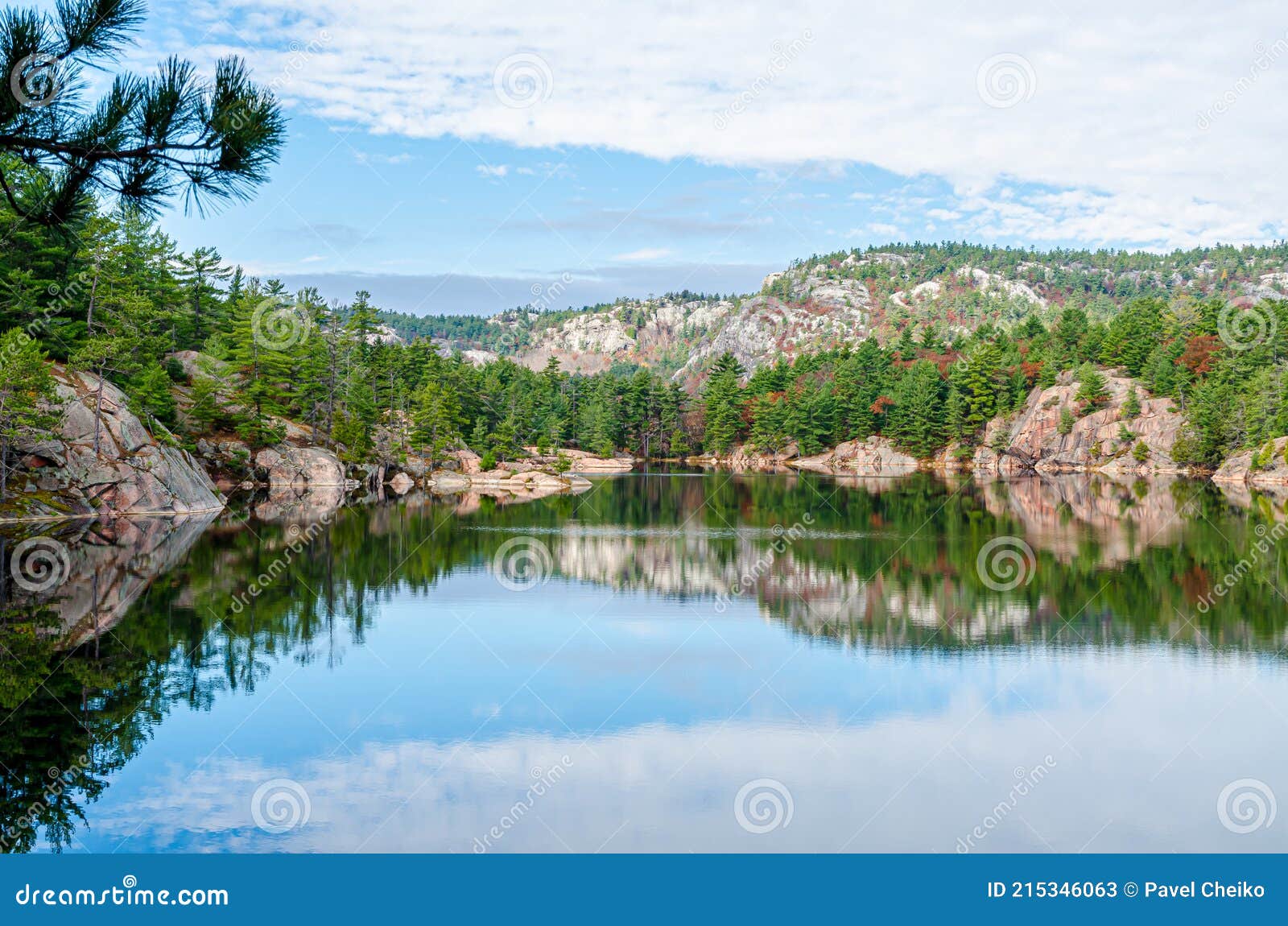 Forest lake stock image. Image of canada, stone, leaf - 215346063