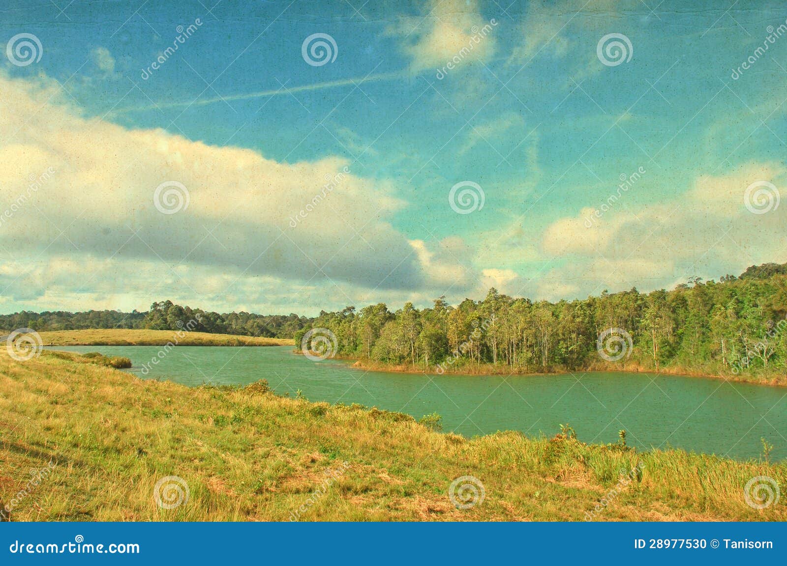 Forest and Lake Landscape Paper Texture Stock Photo - Image of aged ...