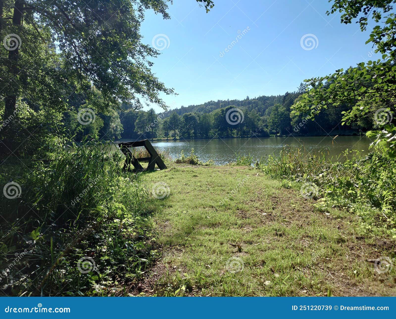 Forest lake lookout stock image. Image of lake, wilderness - 251220739