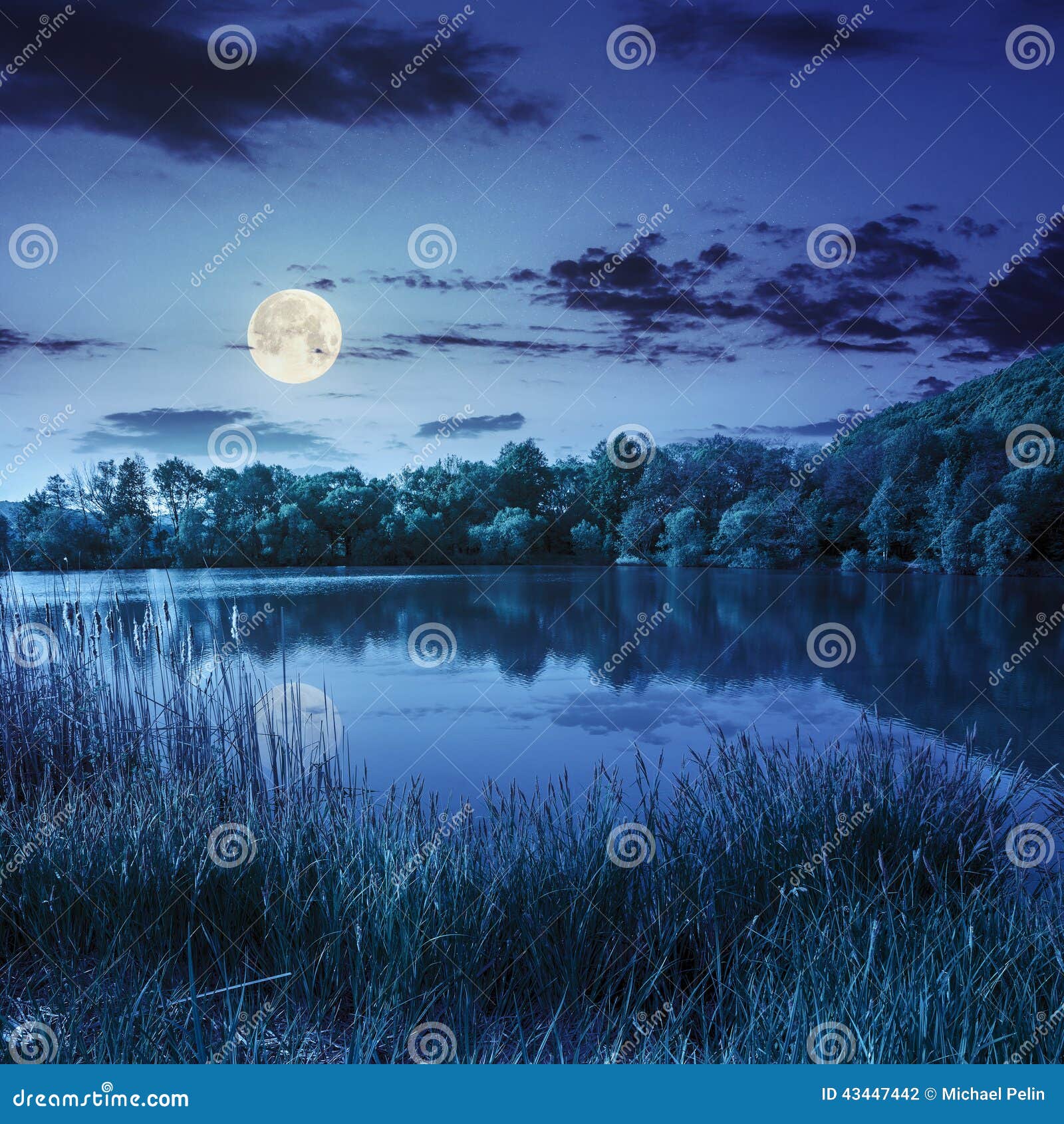 Forest and Lake Near the Mountain at Night Stock Photo - Image of clear ...