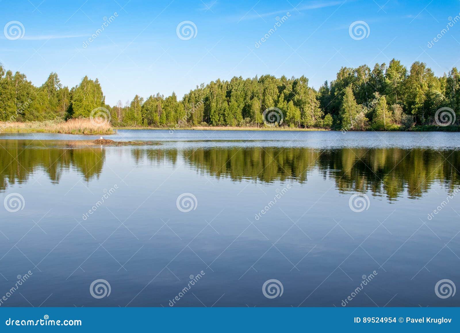 Forest Lake with Reflection of Trees and Sky with Clouds Stock Photo ...