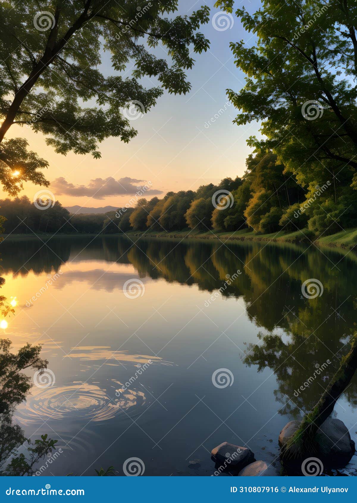 A Forest Lake or River in the Middle of Trees Reflected in the Water ...