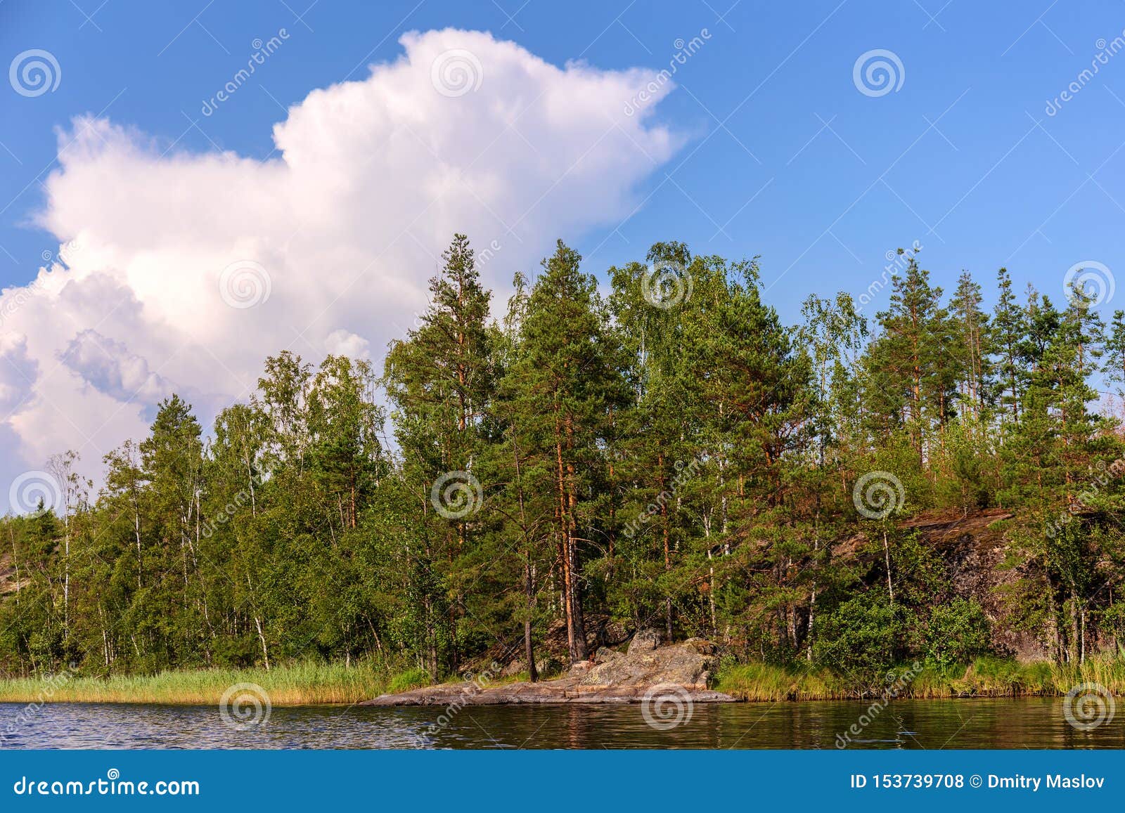 Forest lake with rocks stock photo. Image of landscape - 153739708