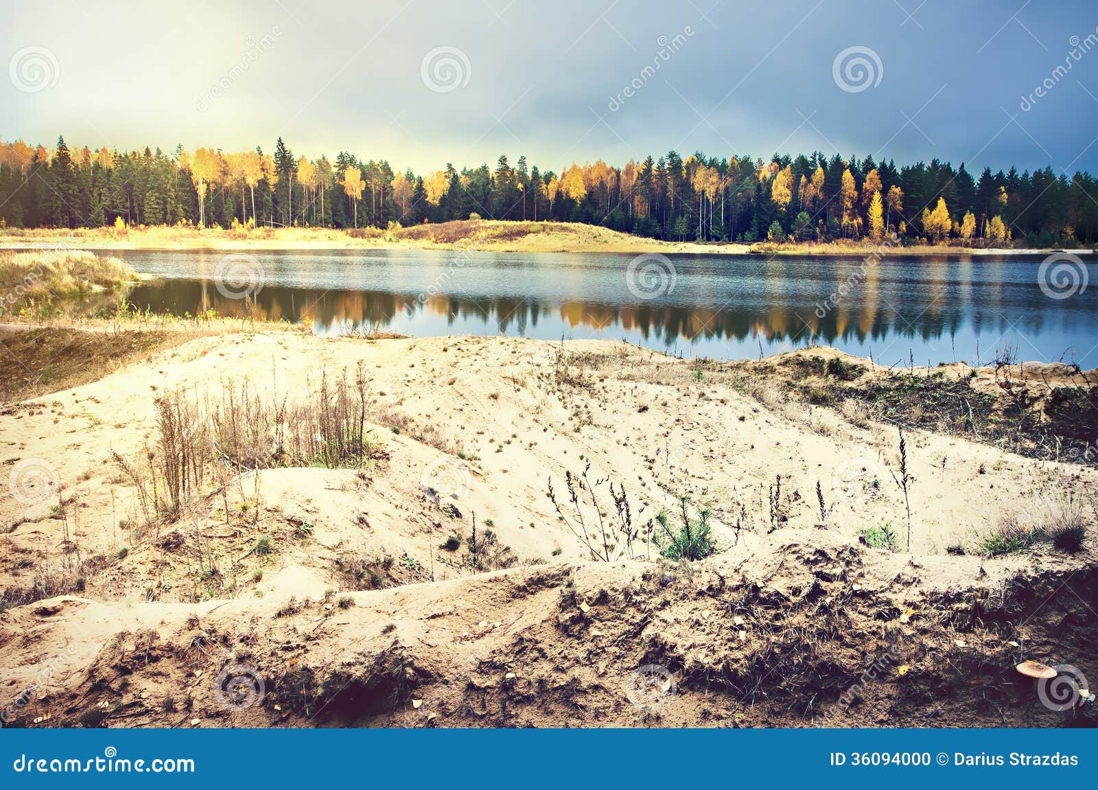 Forest lake and sand stock photo. Image of still, banks - 36094000