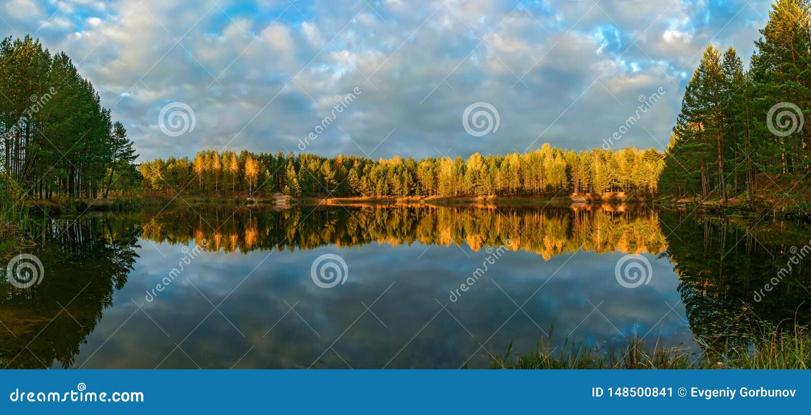 The Forest Lake at Sunset, with Reflection of Sky and Forest on a Water ...