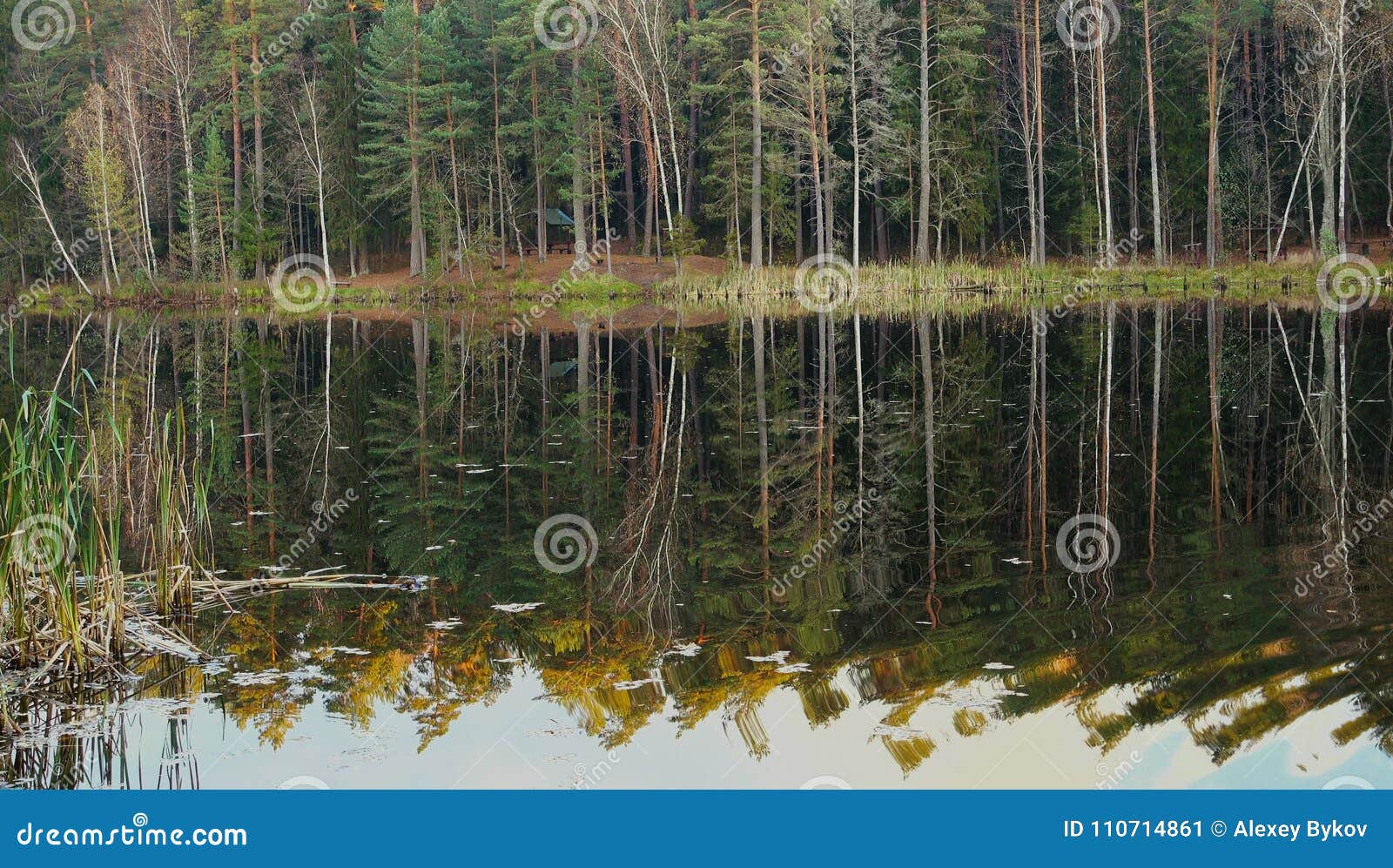 Small Waves on a Surface of Beautiful Forest Lake. Stock Image - Image ...