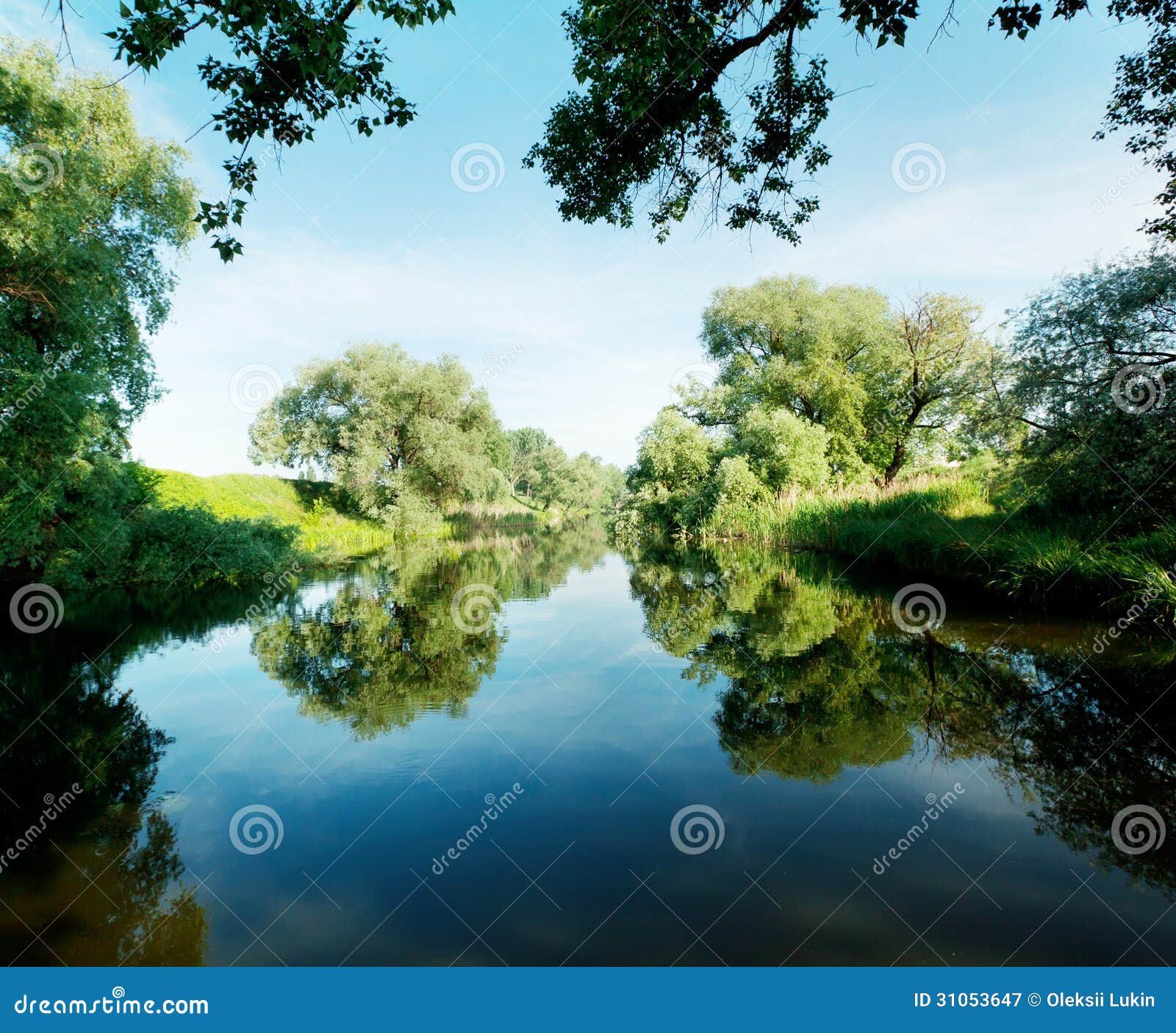 Forest Lake Surrounded by Trees Stock Image - Image of river, forest ...
