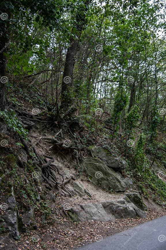 Forest and Landscape Around Frankenstein Castle Stock Photo - Image of ...