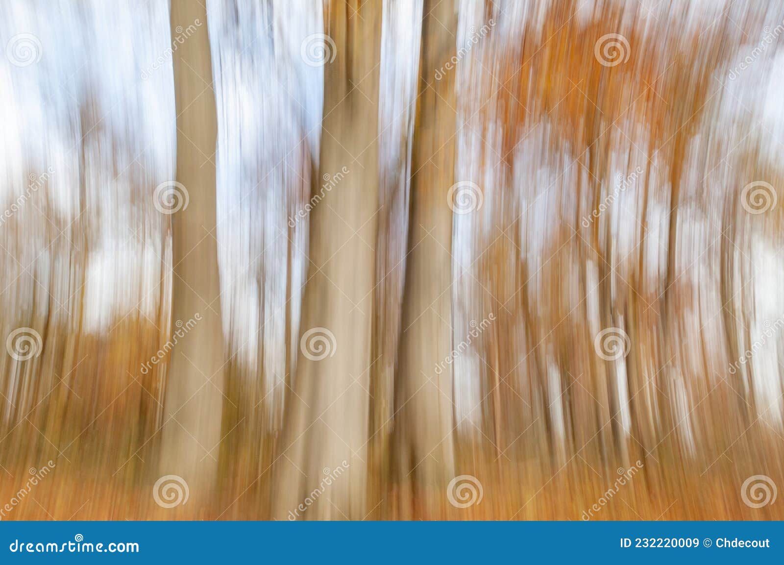 Forest Landscape in Autumn with Defocused Effect. Stock Image - Image ...