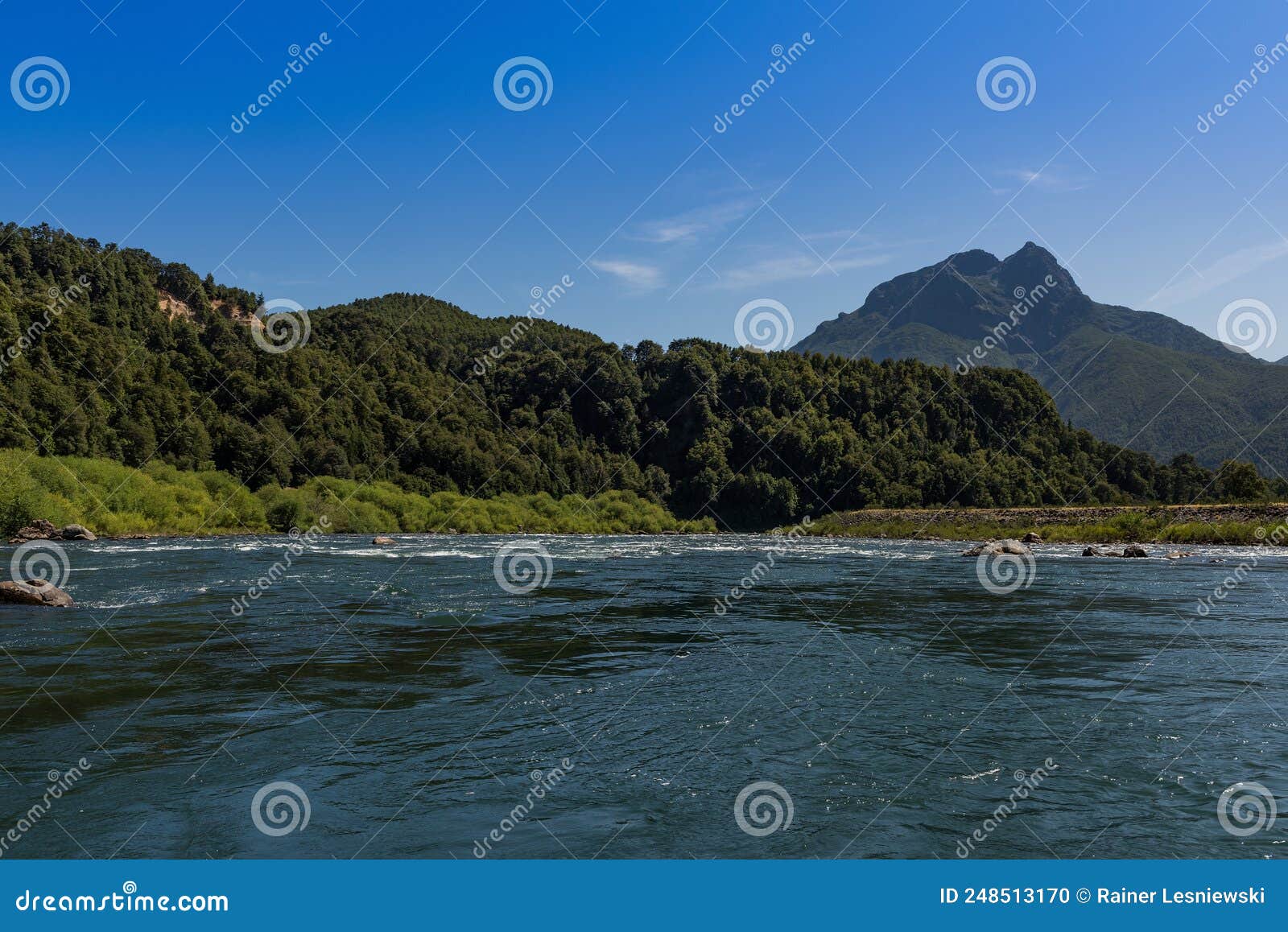 Forest Landscape at the Biobio River, Chile Stock Photo - Image of ...