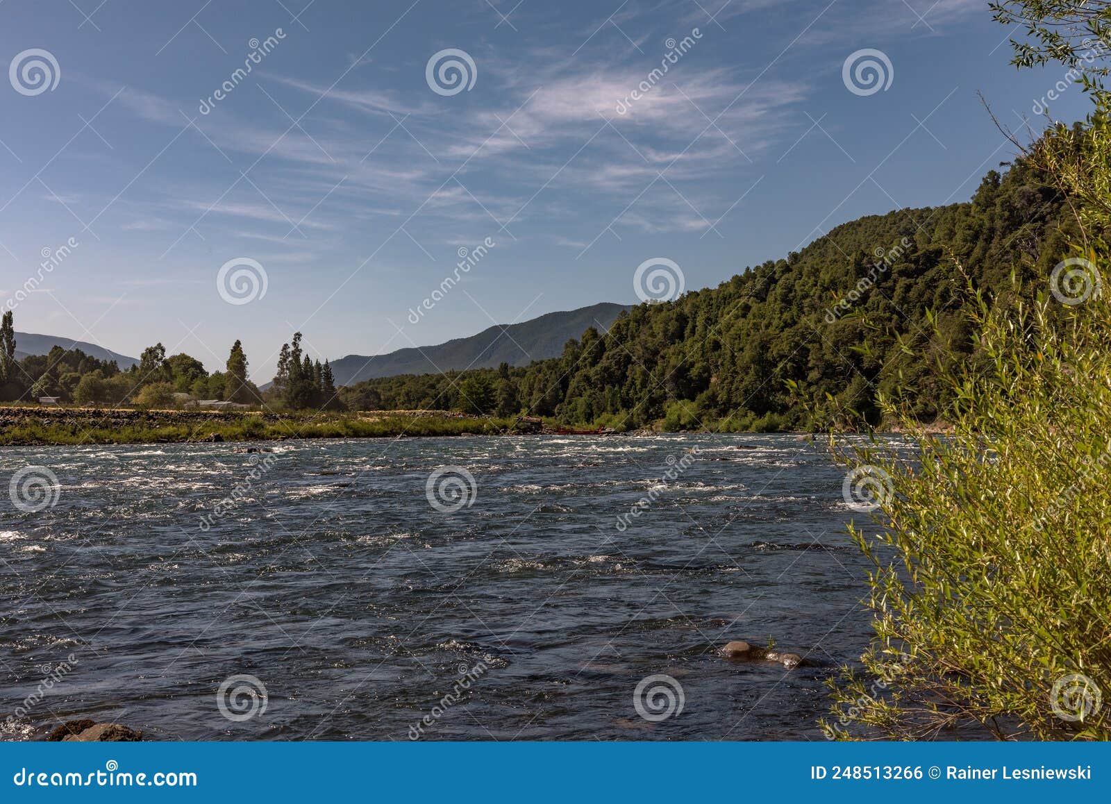 Forest Landscape at the Biobio River, Chile Stock Photo - Image of ...