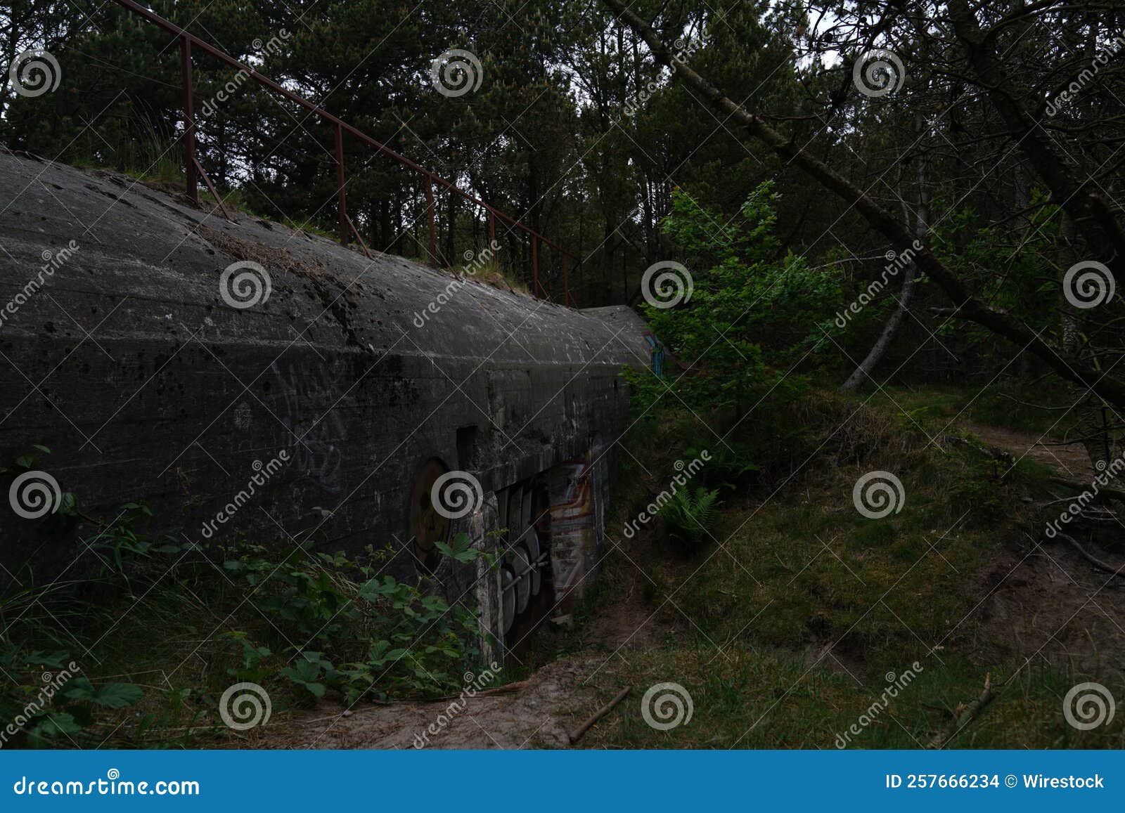 Forest Landscape with the Bridge Side View Stock Photo - Image of ...