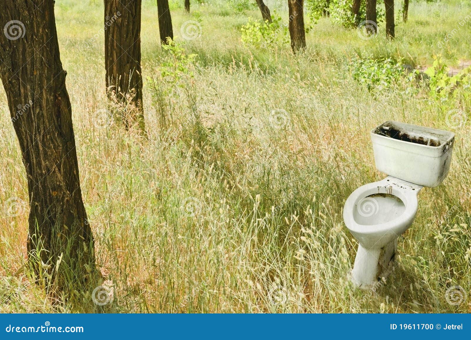 Forest Landscape: Dirty Toilet among the Trees Stock Photo - Image of ...