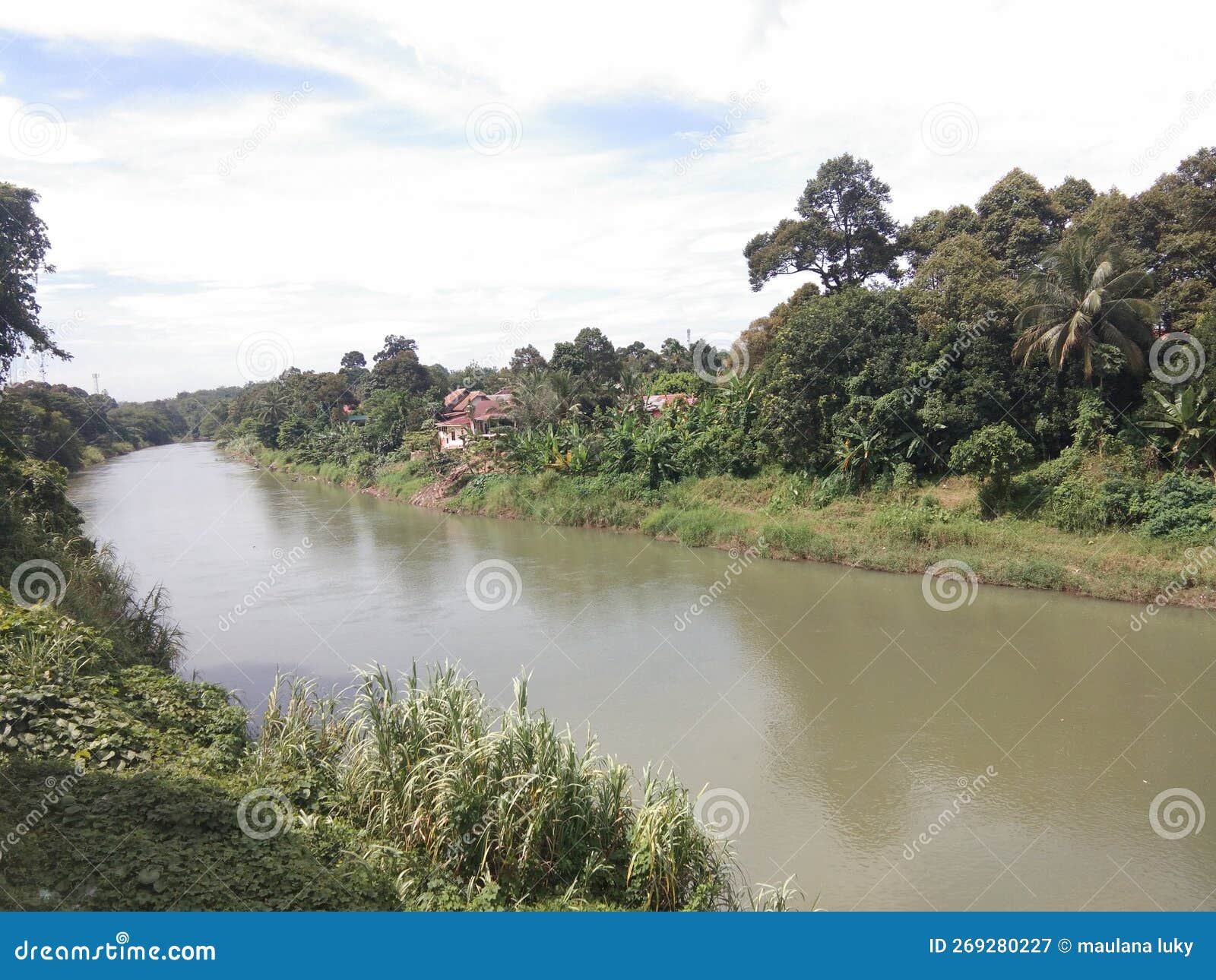 Forest Landscape Divided by a River Stock Image - Image of canal, lake ...