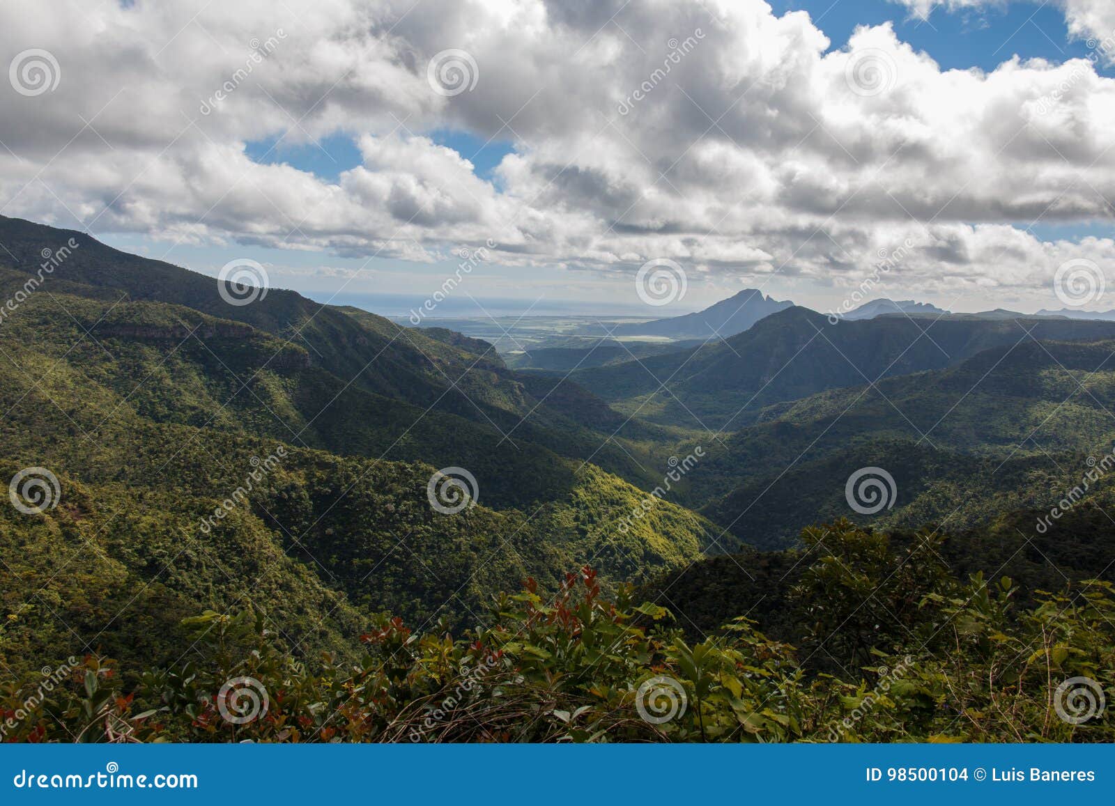 Forest Landscape in Mauritius Stock Photo - Image of famous, mauritius ...