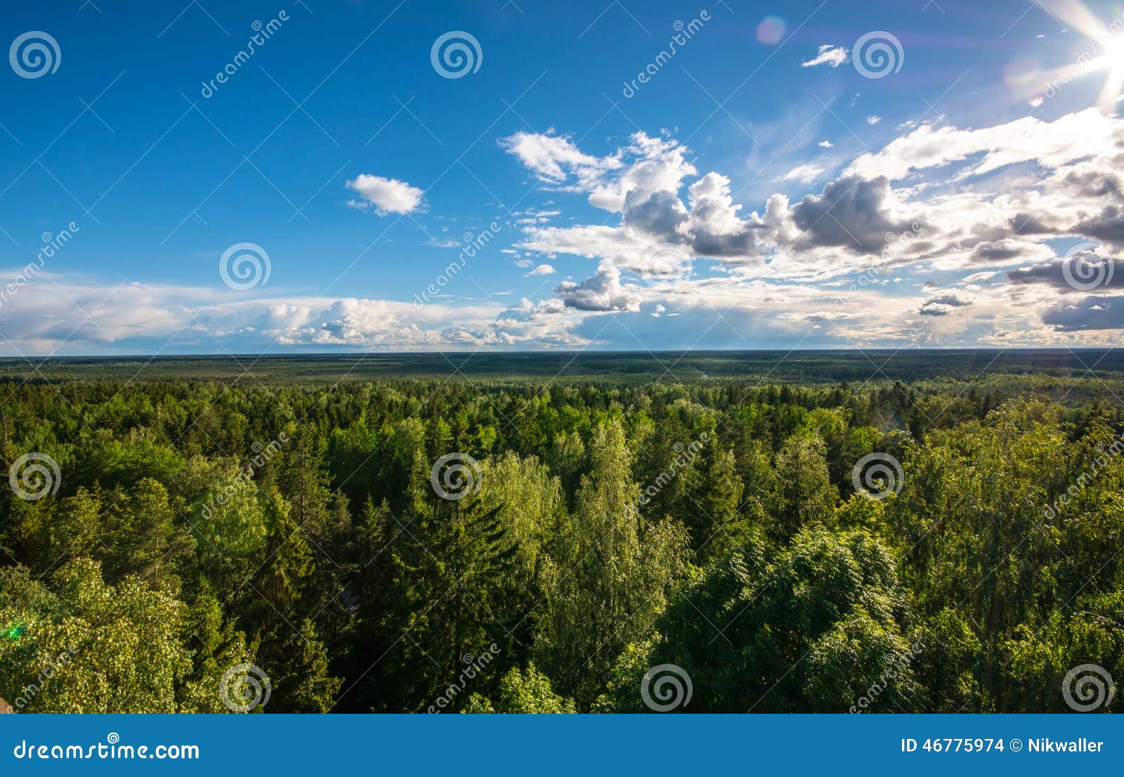 Forest Landscape, Mountain View Stock Photo - Image of agriculture ...