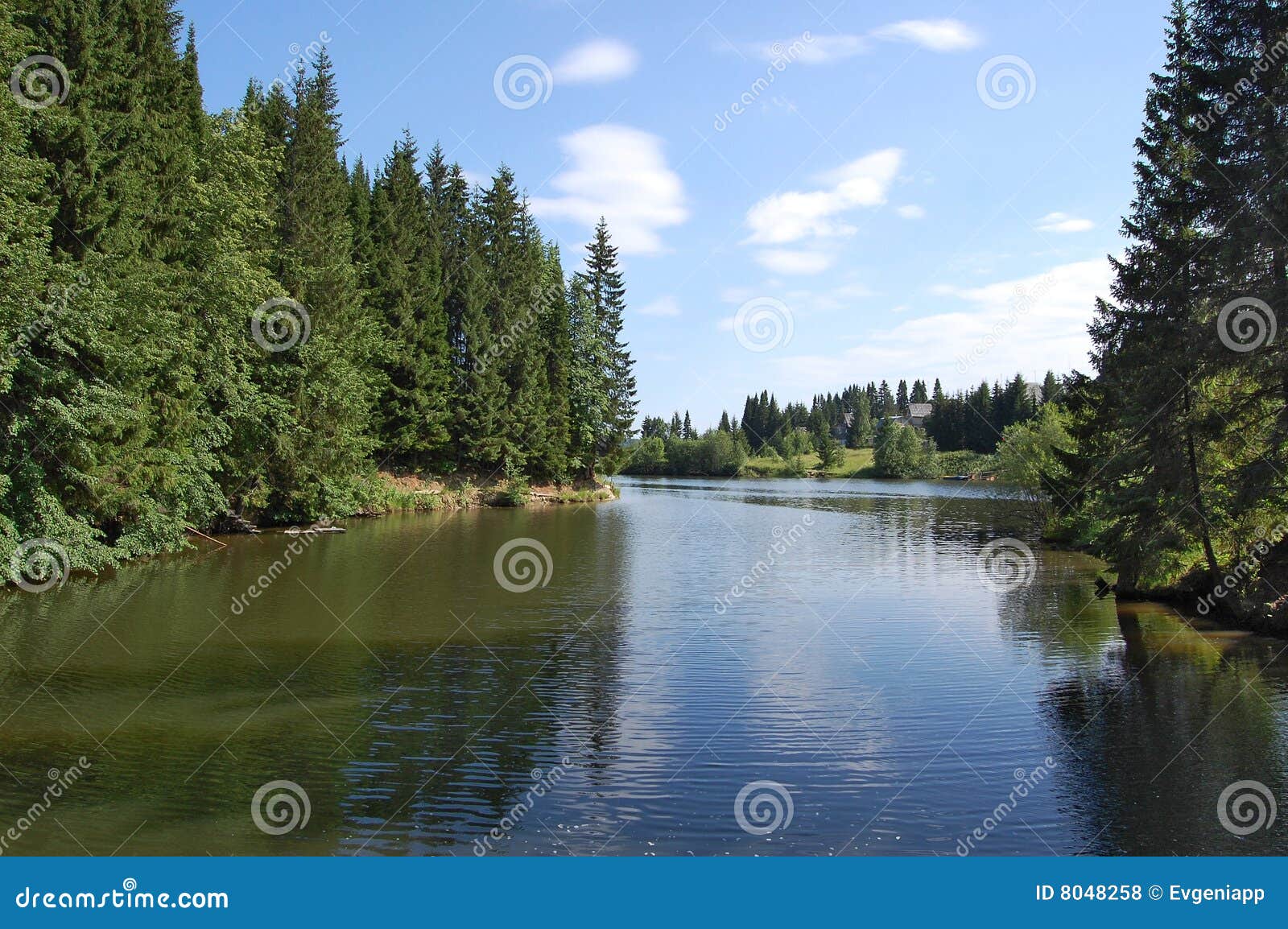 Forest Landscape at the River Stock Photo - Image of smooth, tree: 8048258