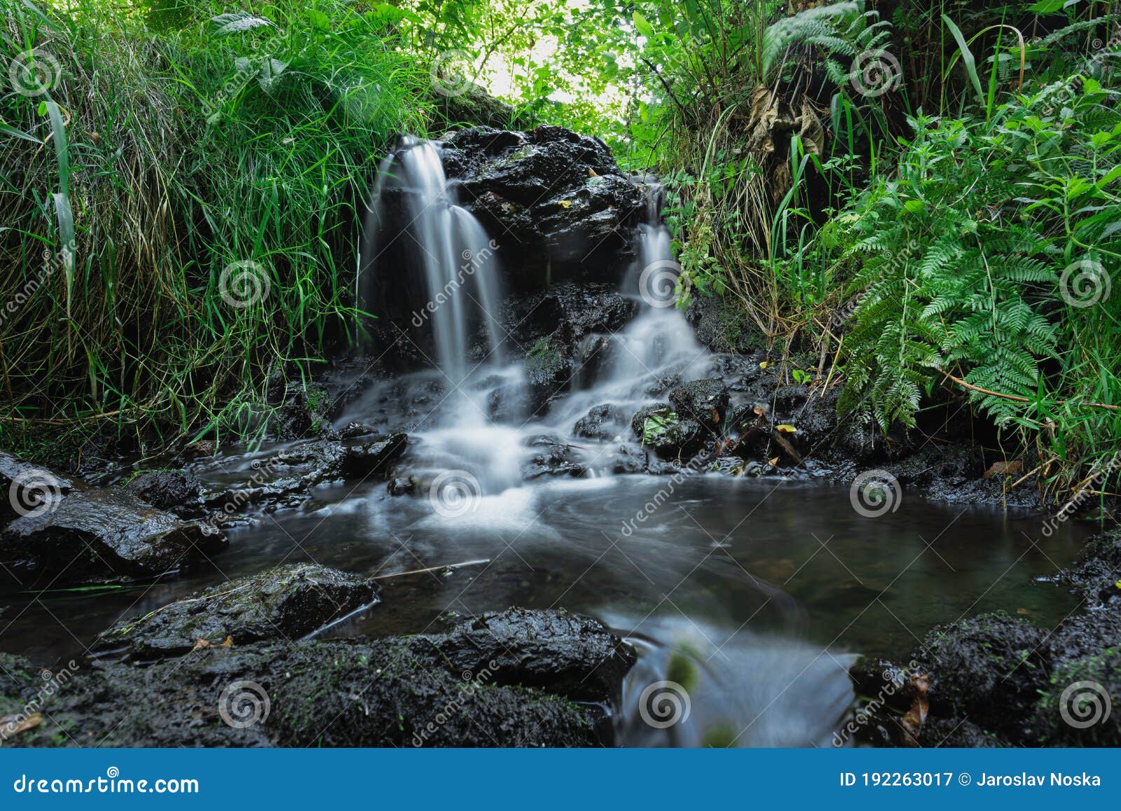 Forest Landscape with a Small Lake and Waterfall Stock Image - Image of ...