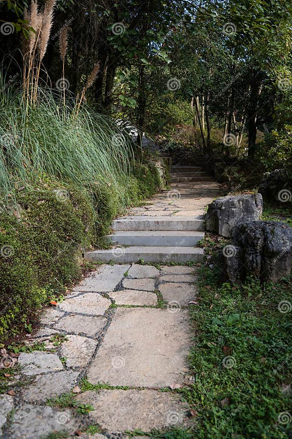 Stone Walking Path stock image. Image of backyard, attraction - 298380691