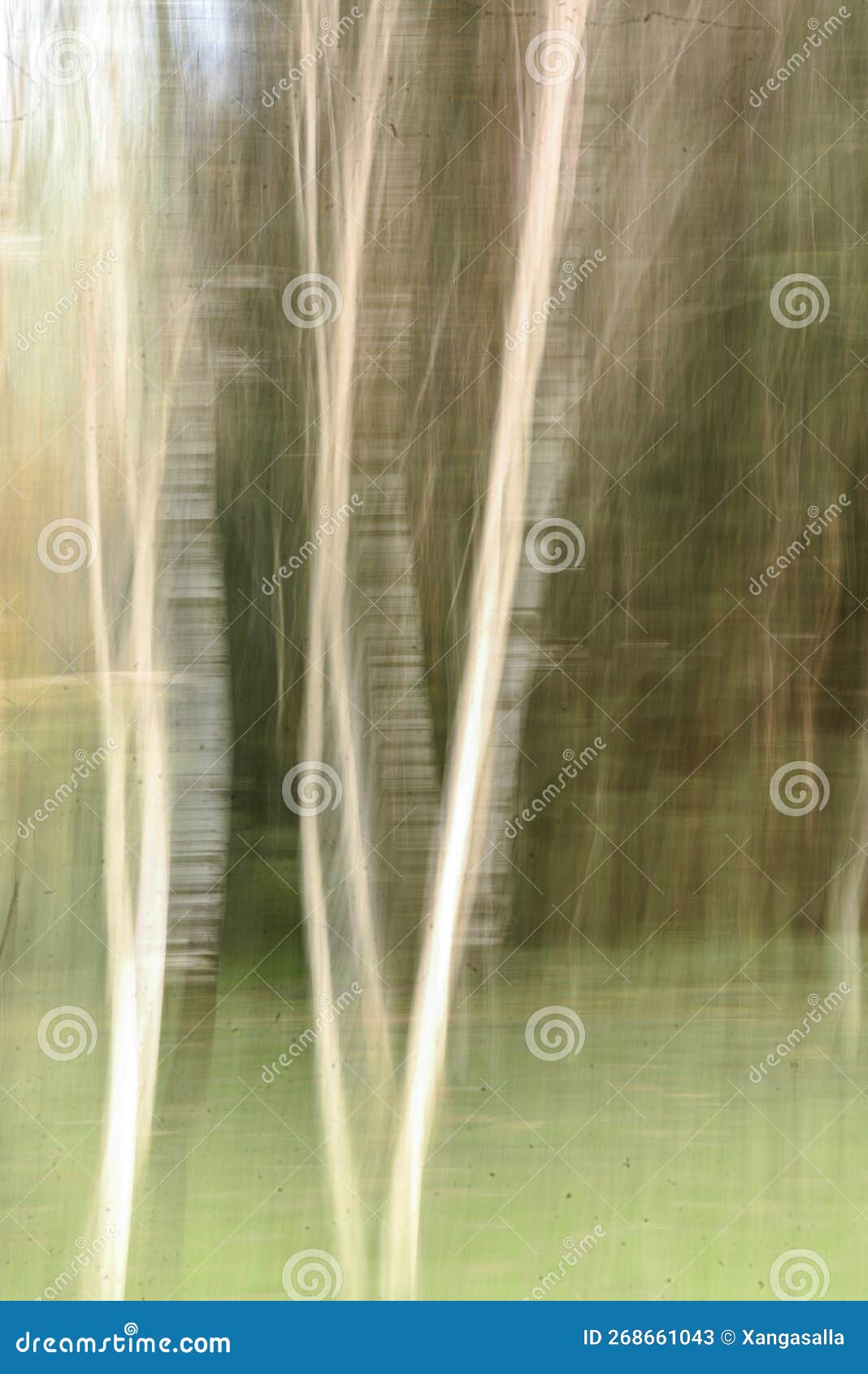 Forest Landscape with Trees Blurred by Intentional Camera Movement ...