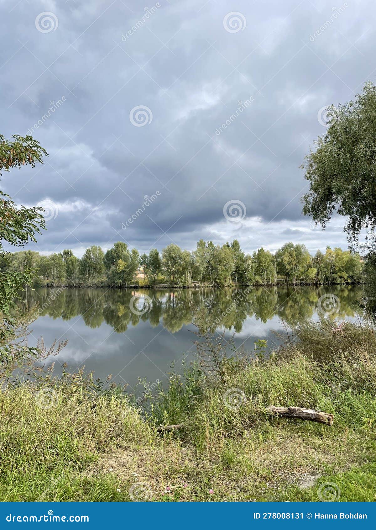 A Forest and a Large Clean Lake Stock Image - Image of flower, grass ...