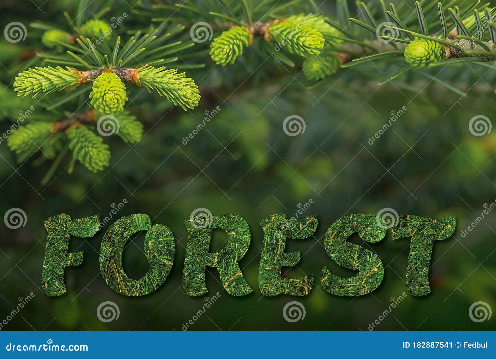 Forest Lettering Word from Spruce Branches with Young Needles on ...